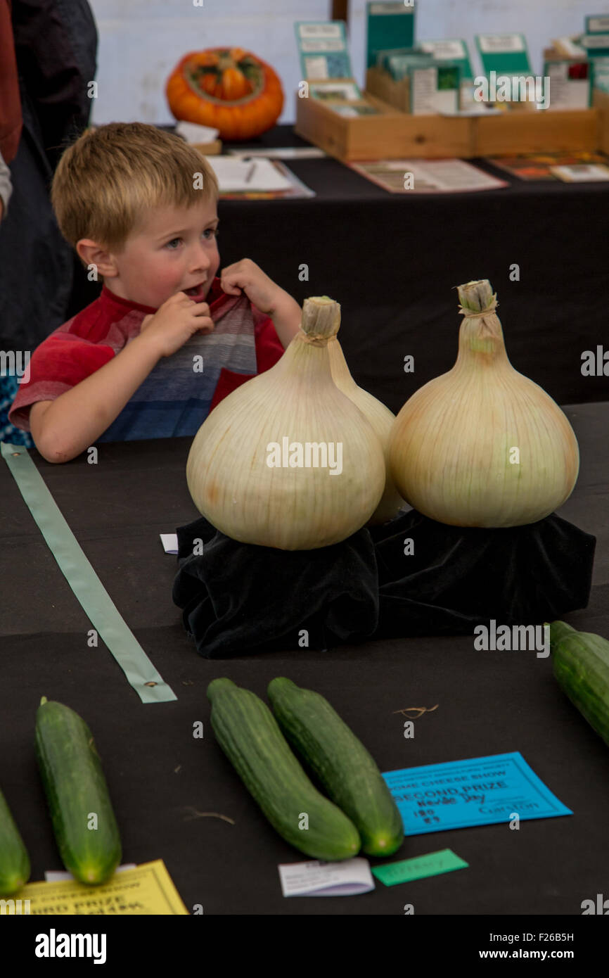 Frome cheese show hi-res stock photography and images - Alamy