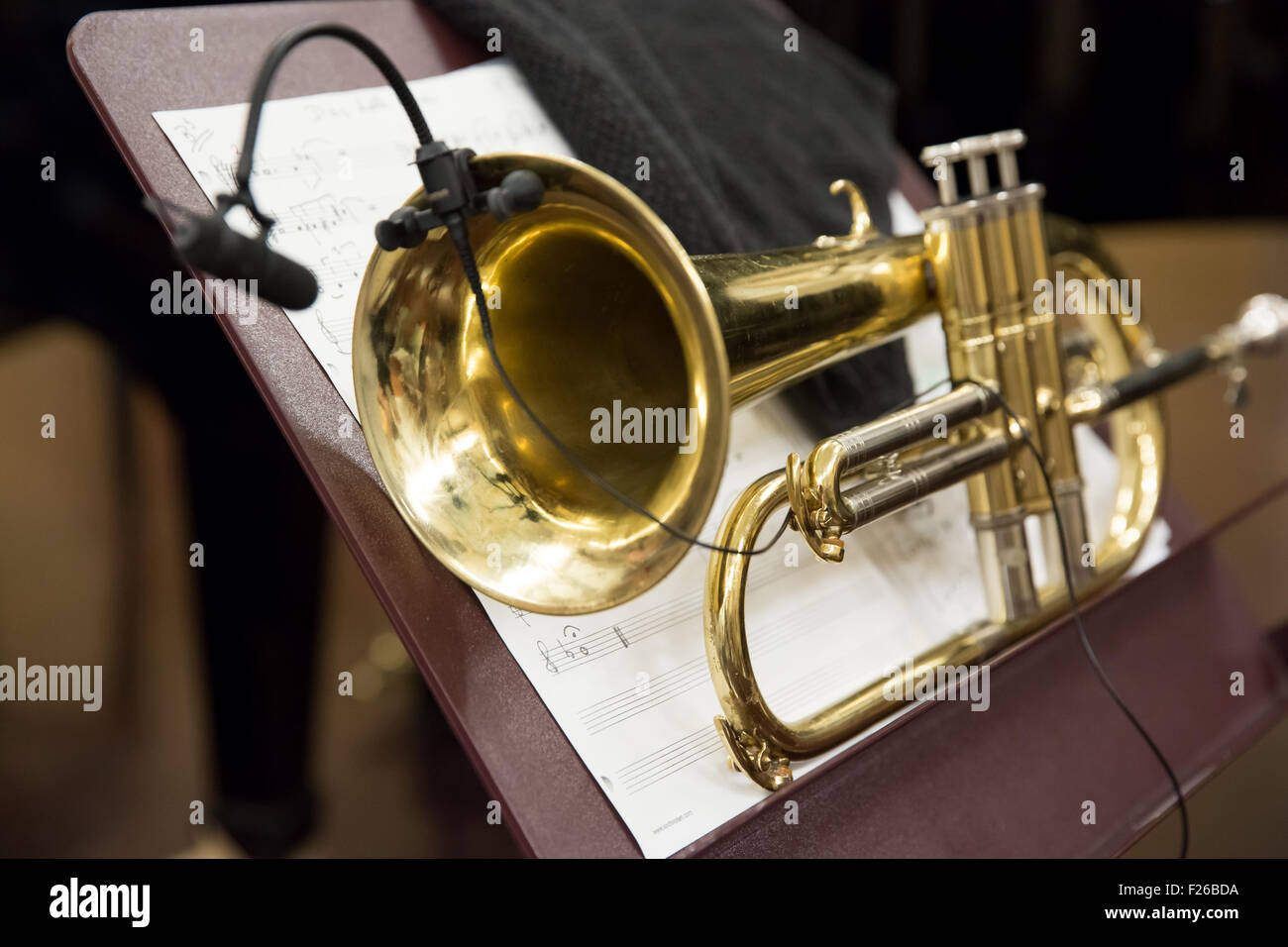 Professional stand hi-res stock photography and images - Alamy