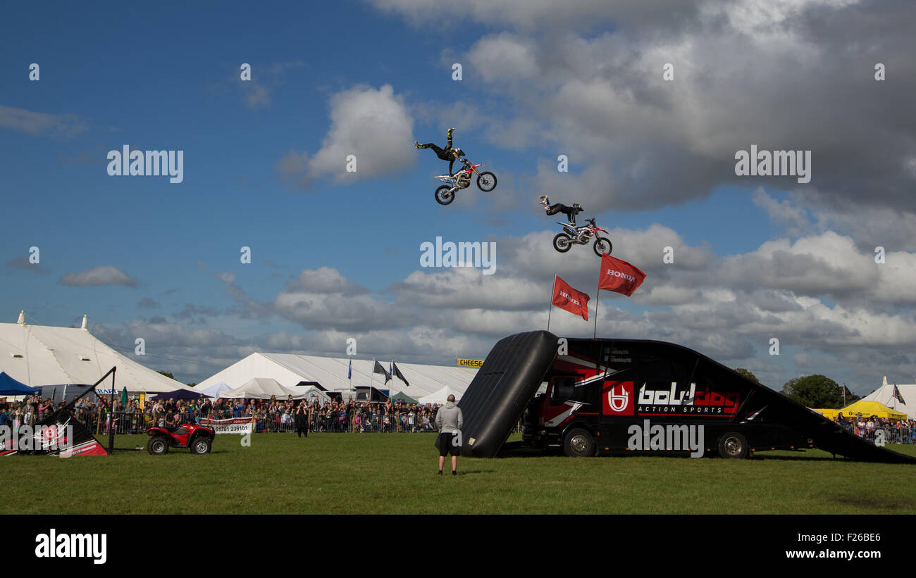 Frome cheese show hi-res stock photography and images - Alamy