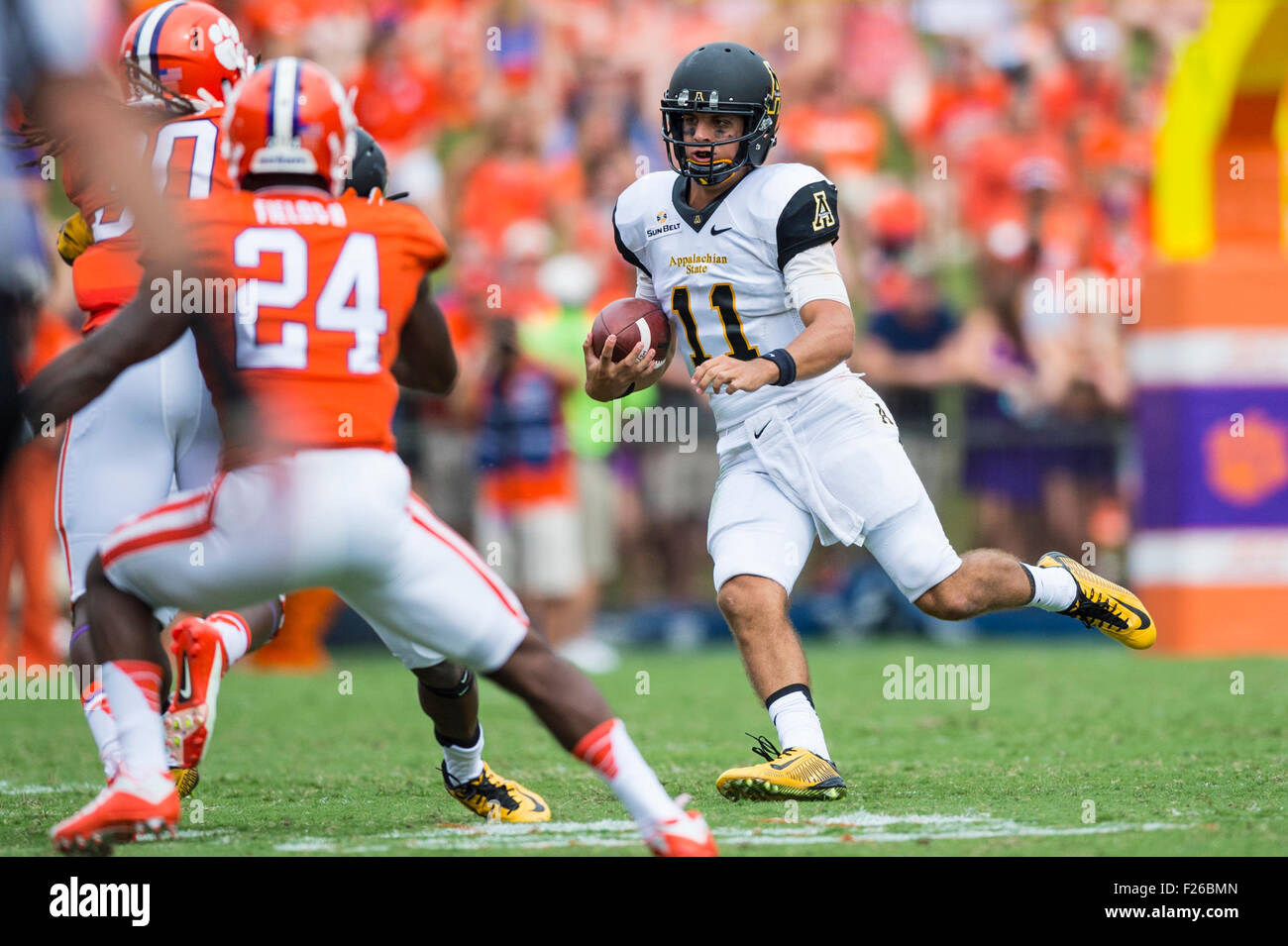 Taylor Lamb High Resolution Stock Photography and Images - Alamy