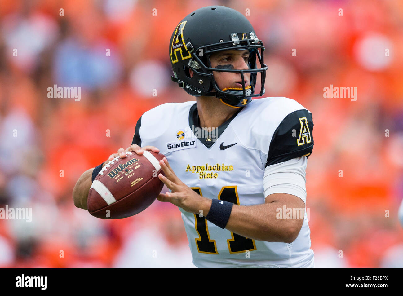 Taylor Lamb High Resolution Stock Photography and Images - Alamy