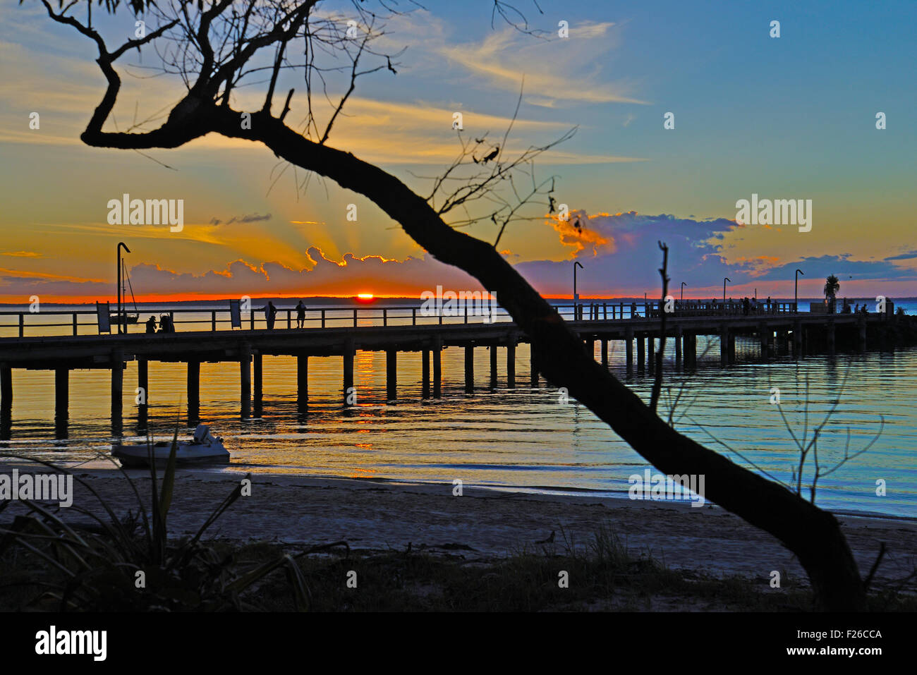 Multi image nature hi-res stock photography and images - Alamy