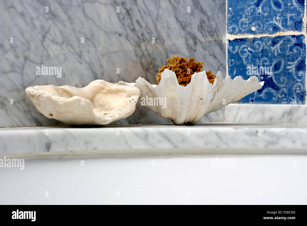 Shells dish and sponge in a bathroom Stock Photo - Alamy