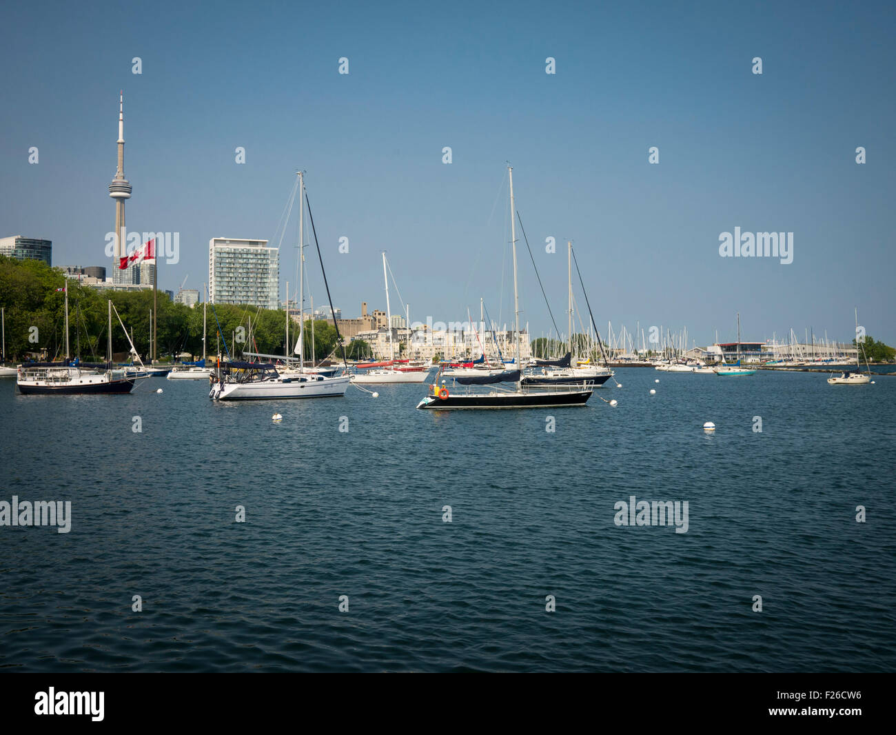 Sailboats on lake Ontario in front of Toronto skyline Stock Photo - Alamy