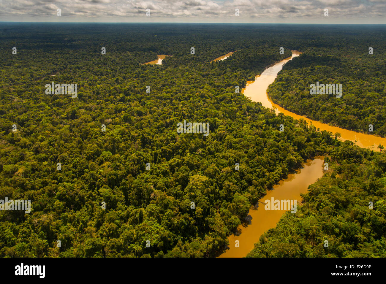 Amazon forest hi-res stock photography and images - Alamy