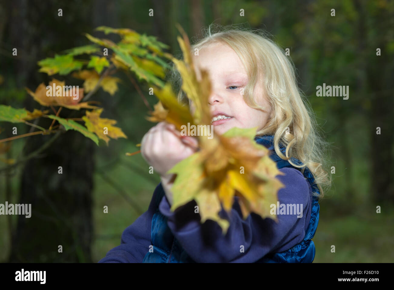 Children autumn forest hi-res stock photography and images - Alamy