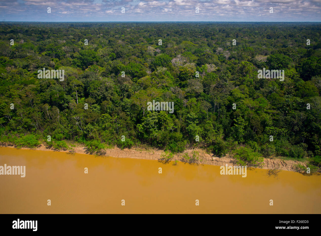 Rainforest aerial yavari river hi-res stock photography and images - Alamy