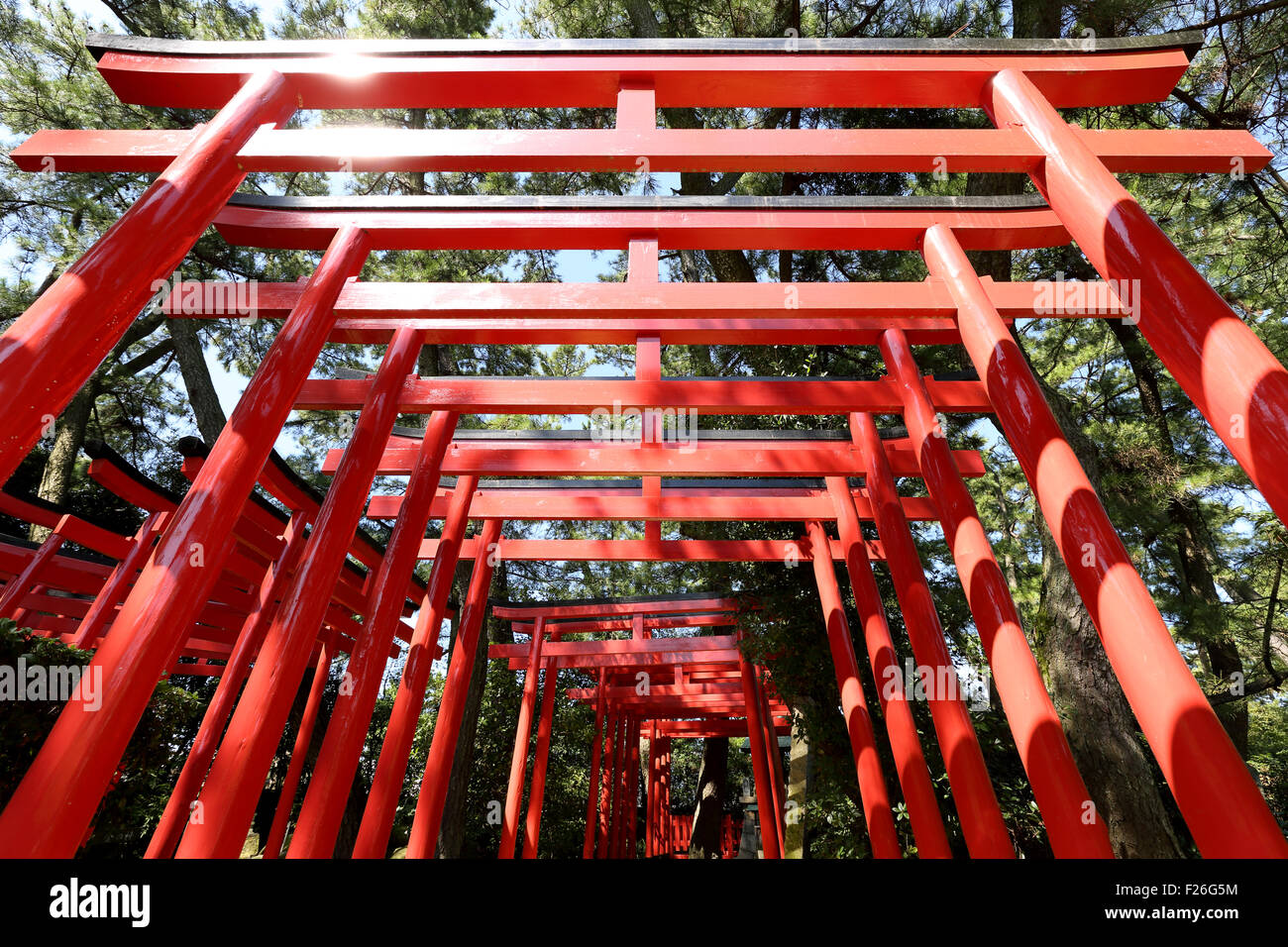 Orange torii gates at shinto shrine in Japan Stock Photo - Alamy