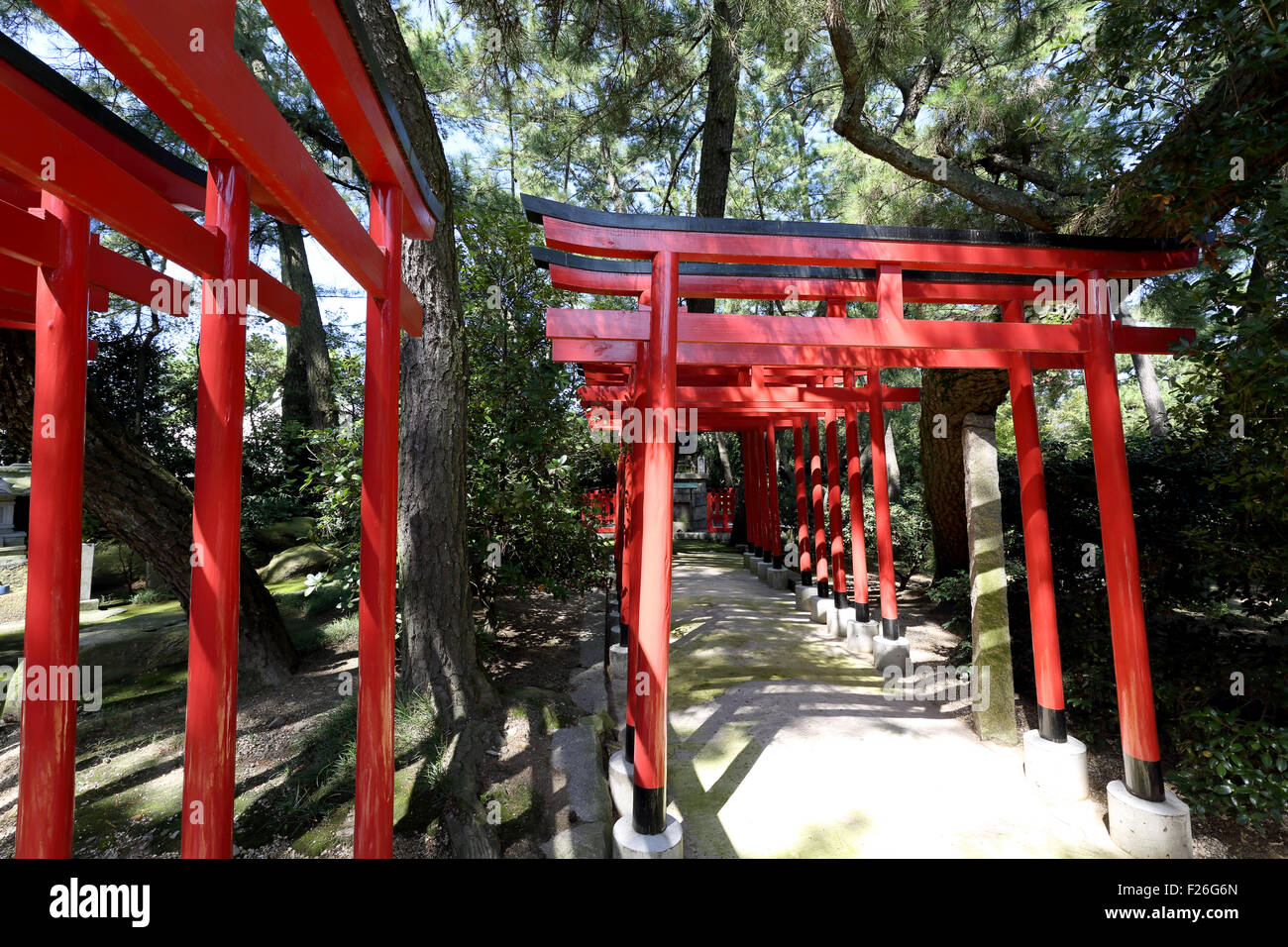 Shinto torii gate garden hi-res stock photography and images - Alamy