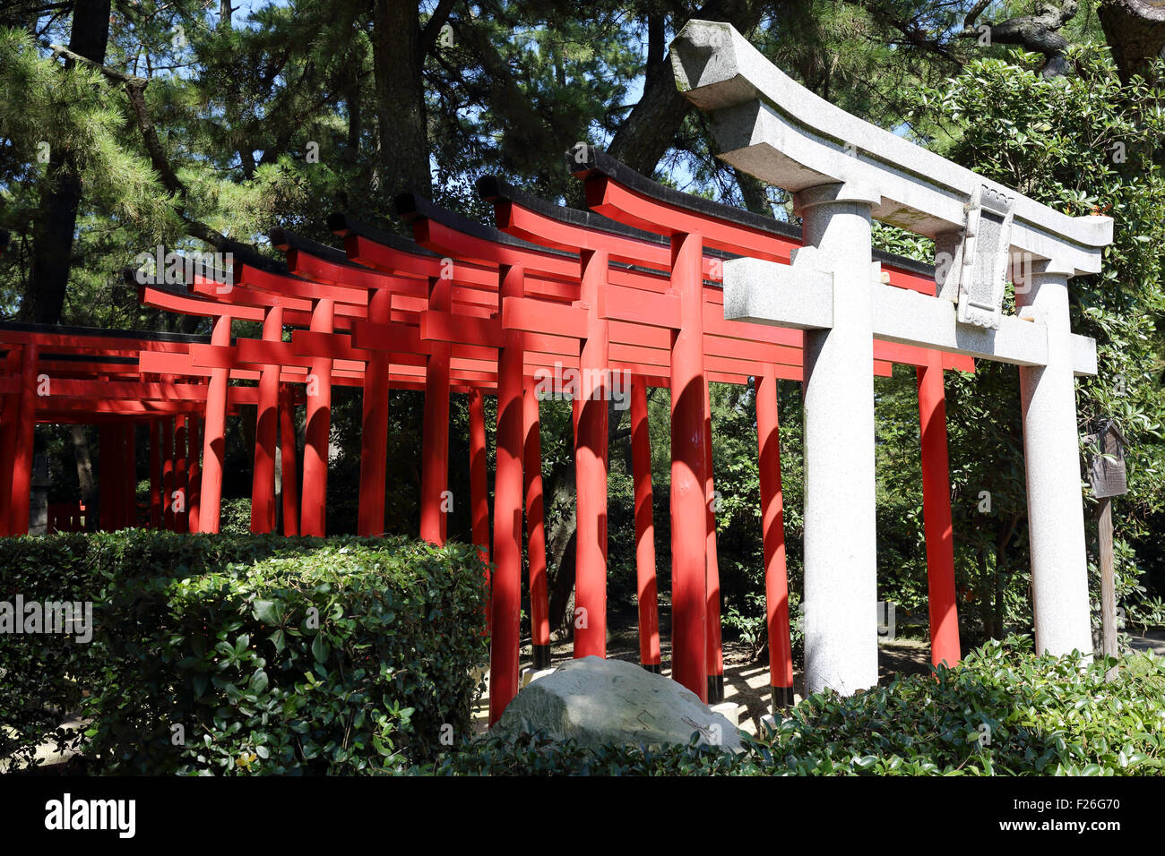 torii gates at shinto shrine in Japan Stock Photo - Alamy