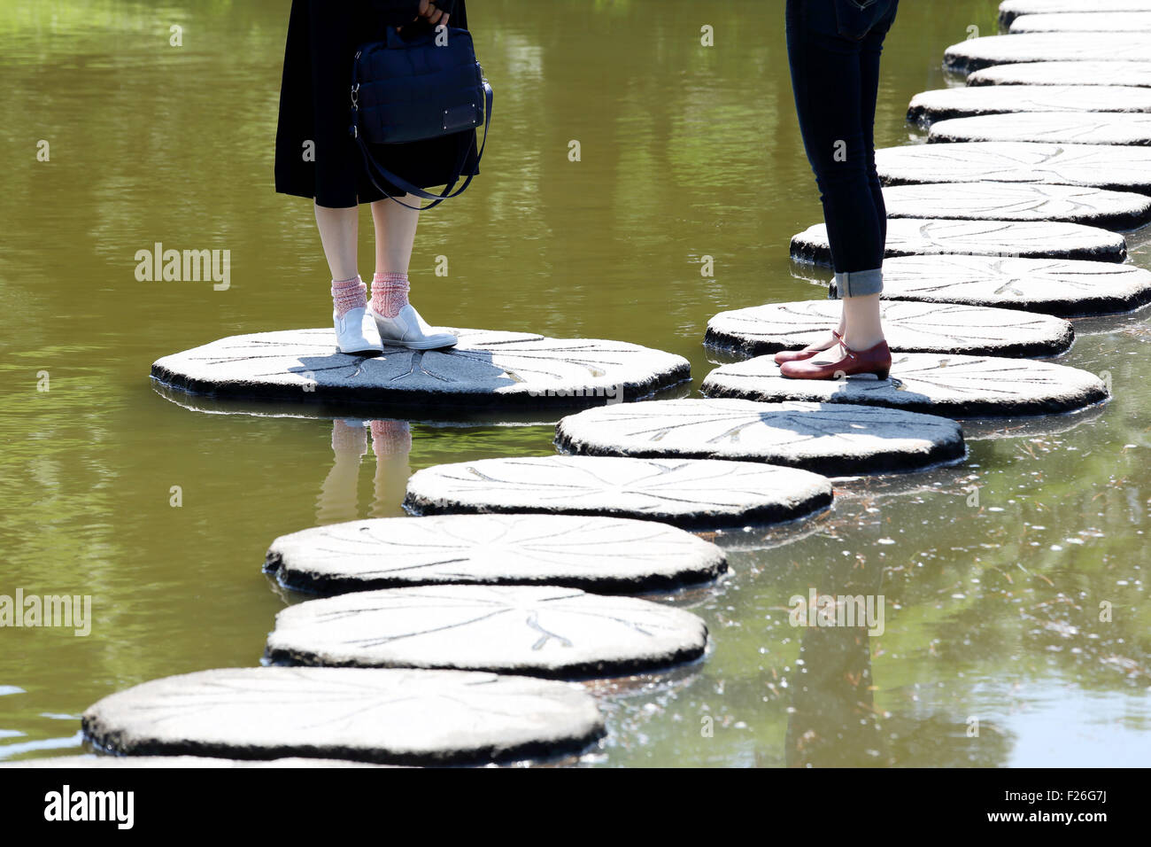 Stone path in water Japanese garden Stock Photo - Alamy