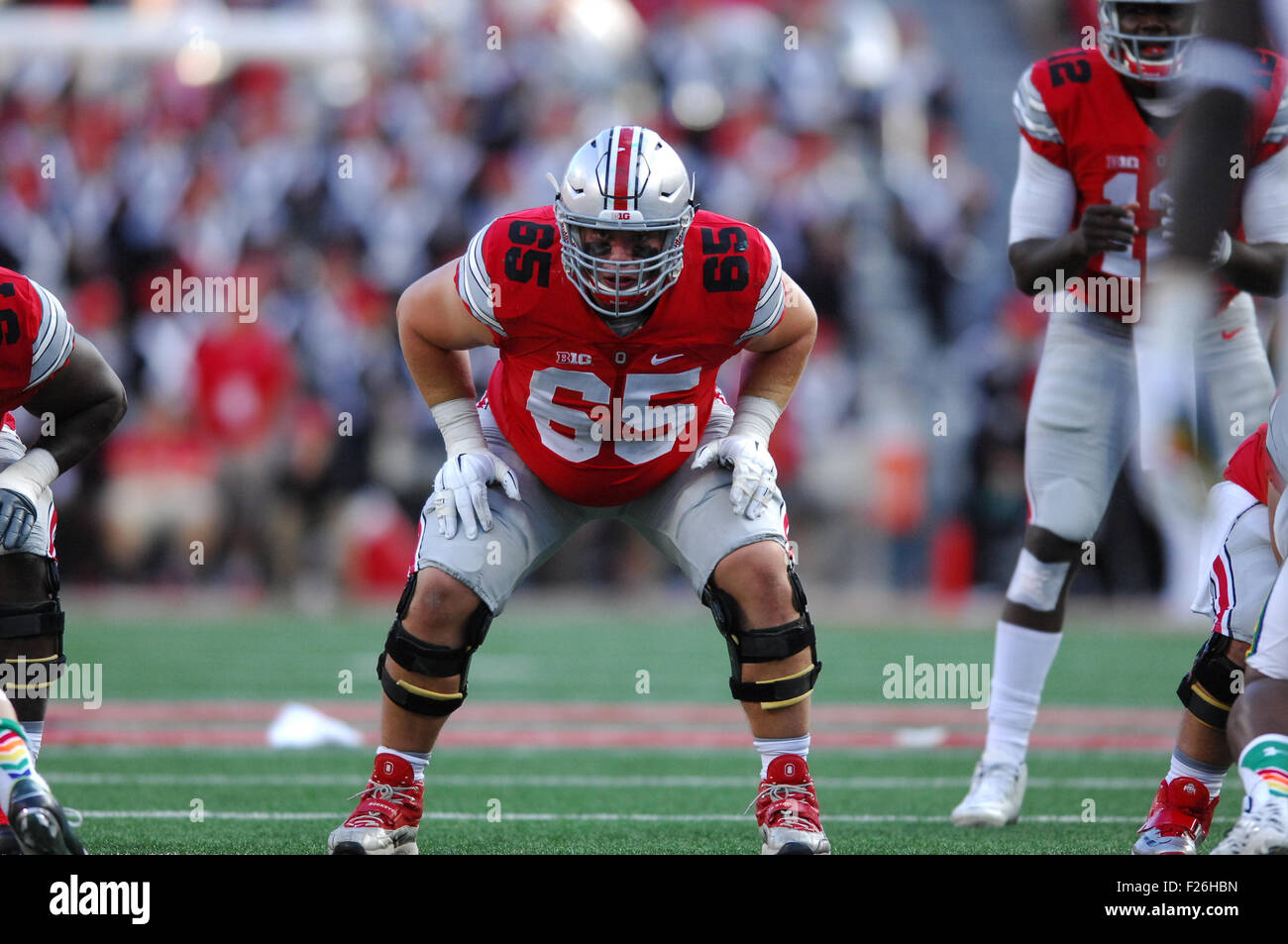 Elflein hi-res stock photography and images - Alamy