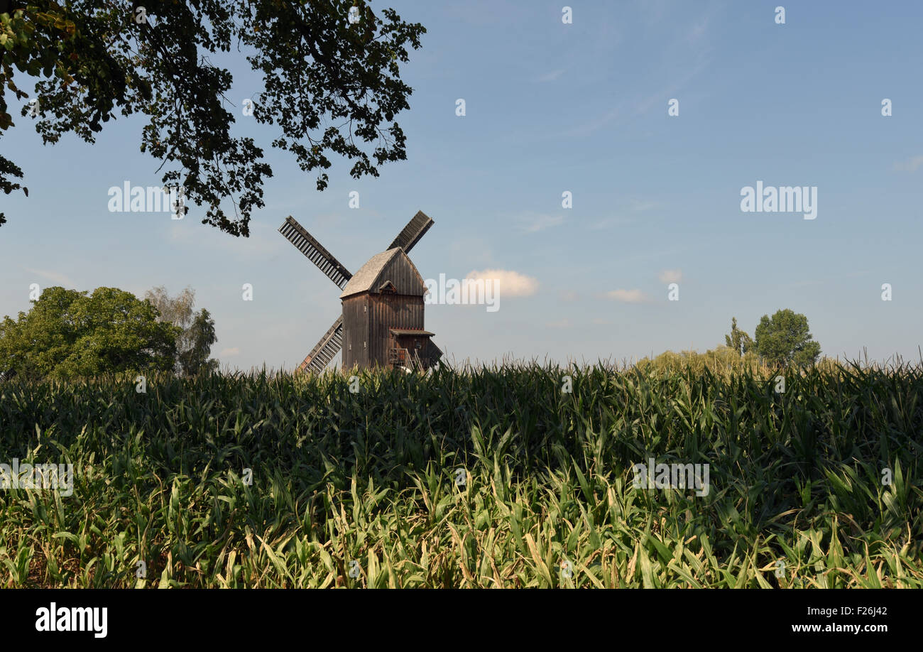Beelitz, Germany. 12th Sep, 2015. The historic post mill in Beelitz ...