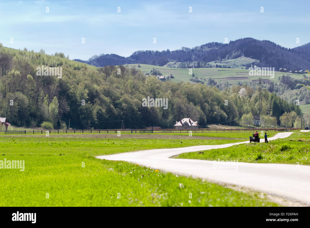 Road through young crop field Stock Photo - Alamy