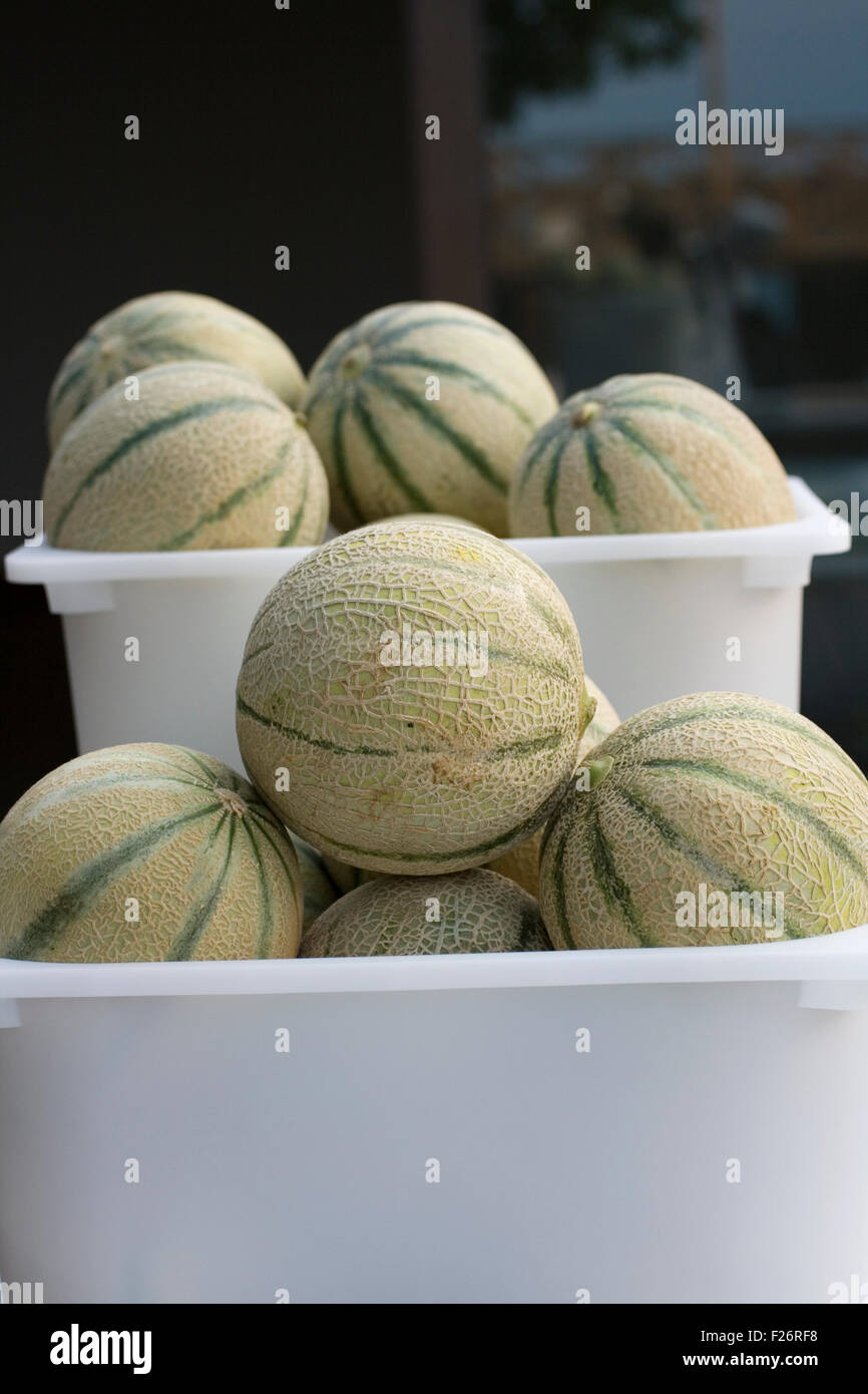Crate of melons hi-res stock photography and images - Alamy