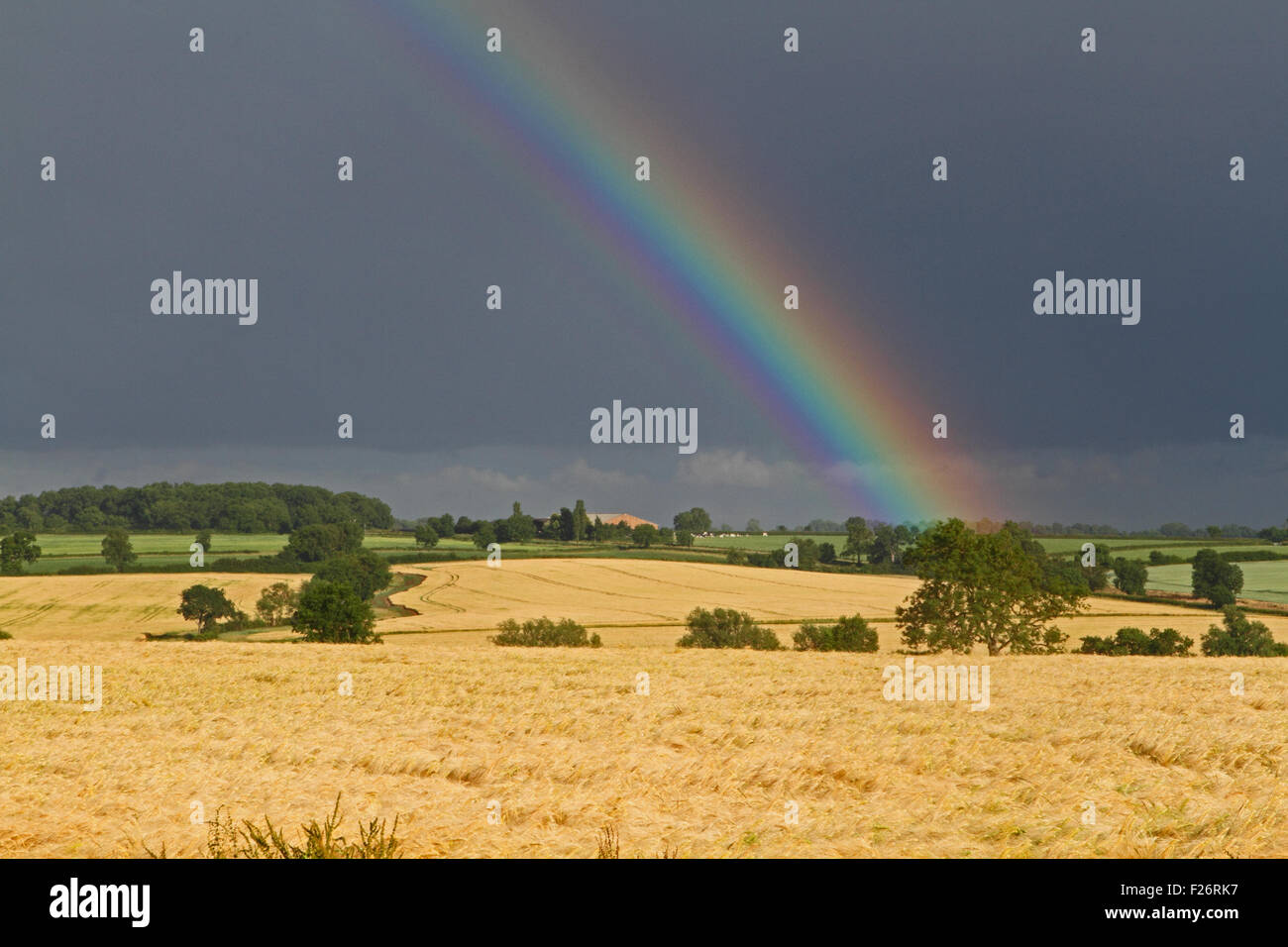 Rainbow over Leicestershire farmland Stock Photo - Alamy Rainbow over Leicestershire farmland Stock Photo - Alamy