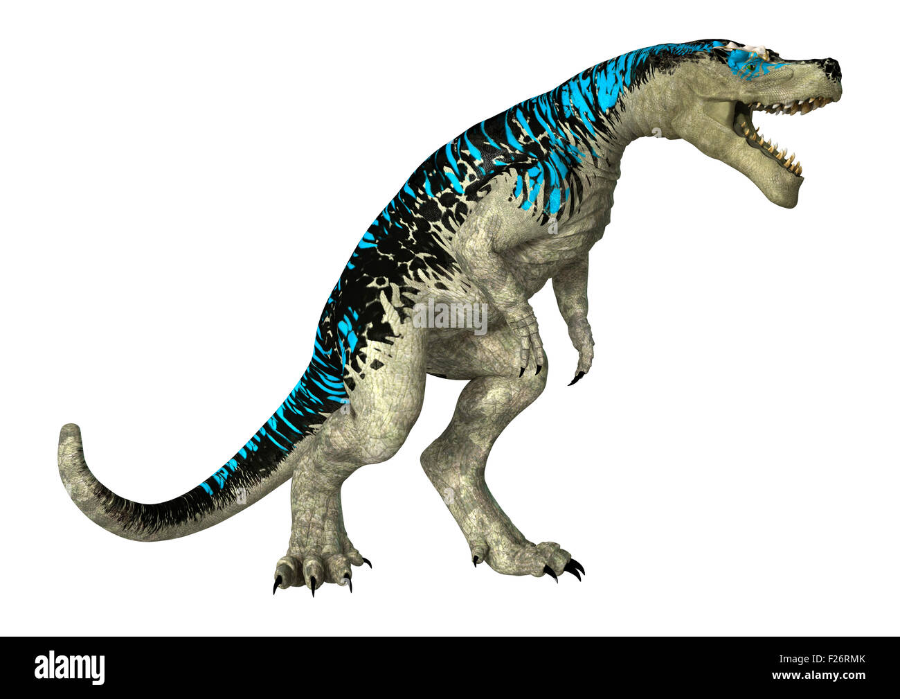 3D digital render of a dinosaur Tyrannosaurus Rex isolated on white ...