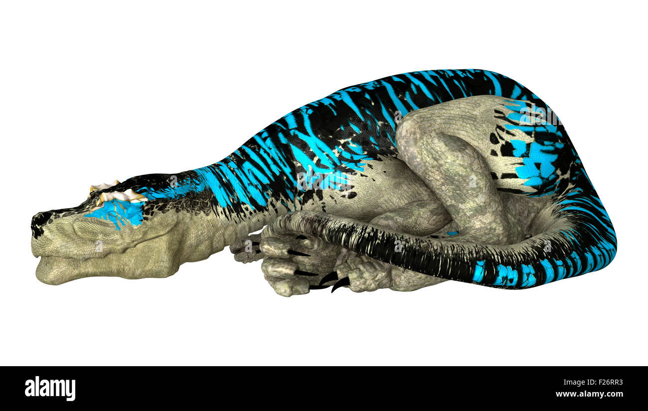 3D digital render of a dinosaur Tyrannosaurus Rex sleeping isolated on white background Stock ...