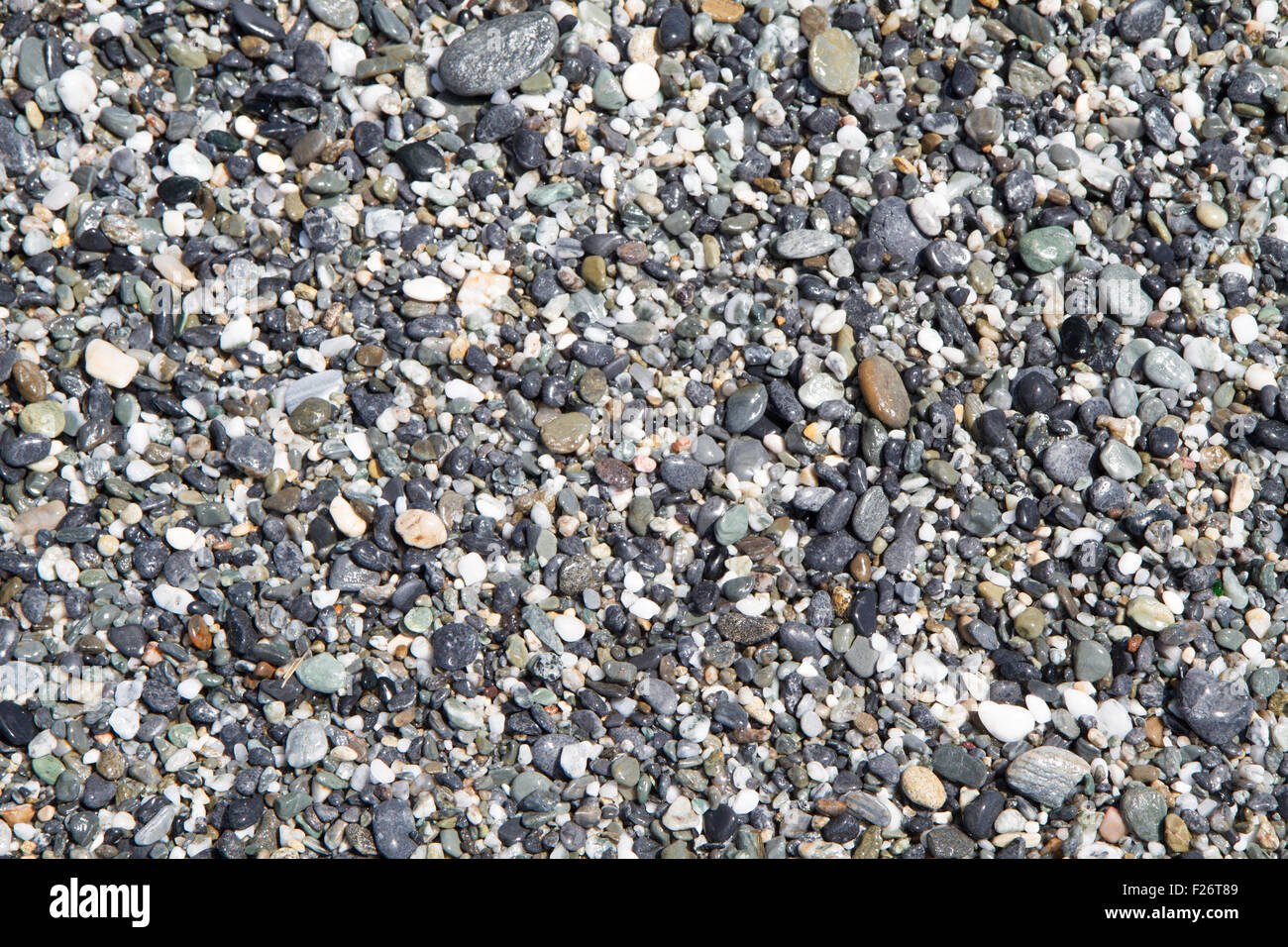 background of wet beach, made up of small gray stones Stock Photo - Alamy