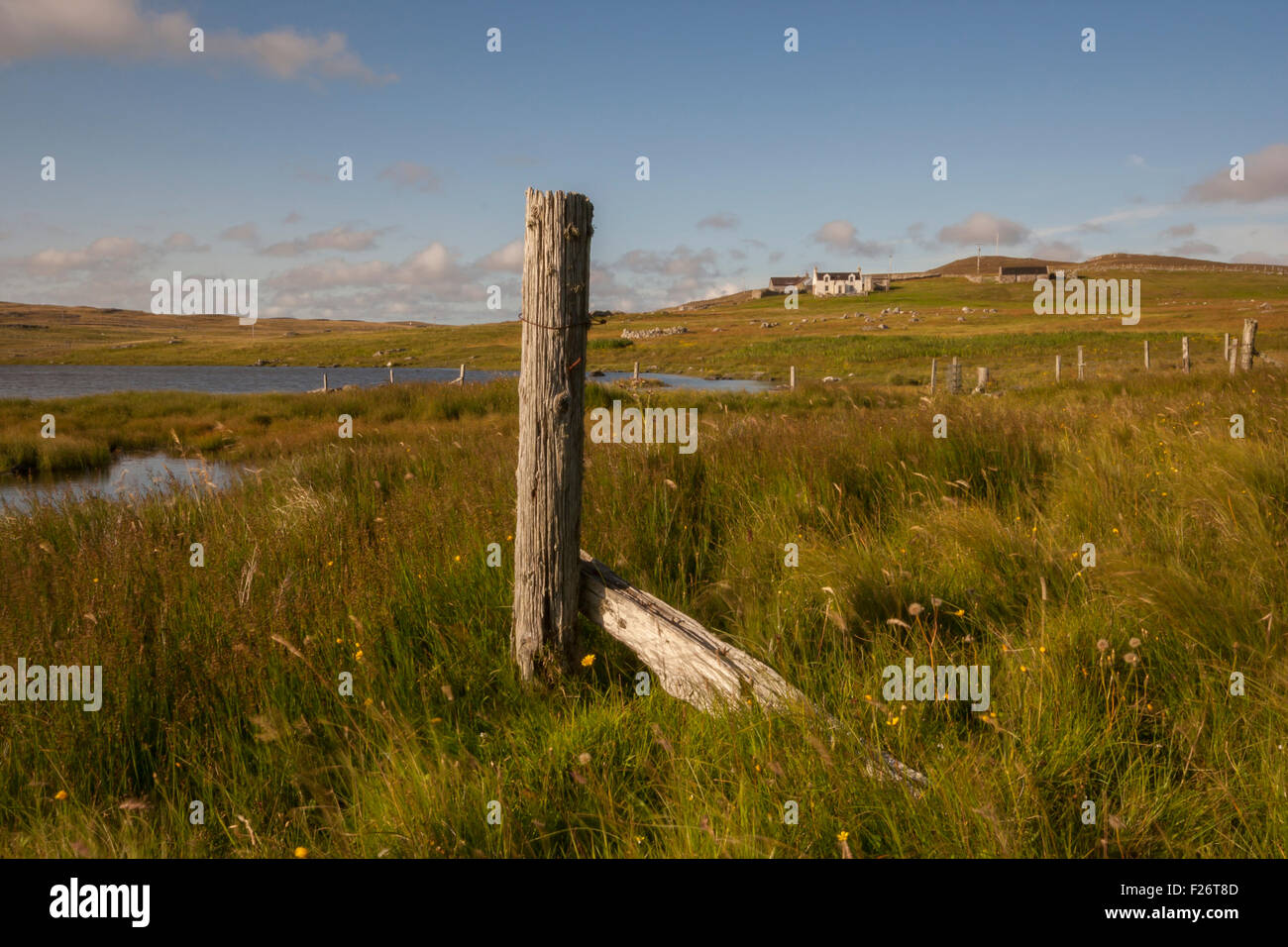 Elvister, Walls, Shetland, Northern Isles, Scotland, UK Stock Photo - Alamy