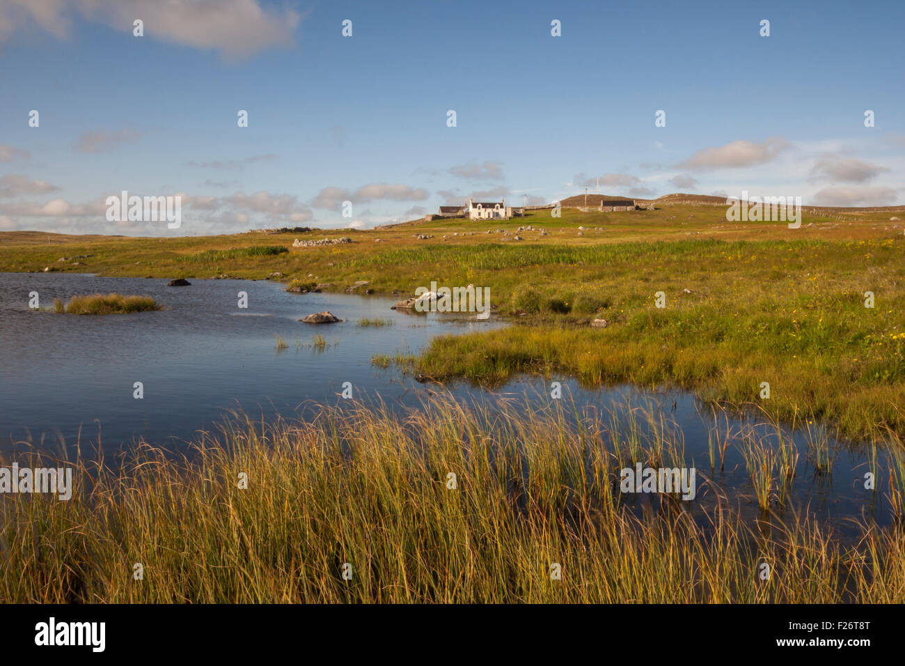 Elvister hi-res stock photography and images - Alamy