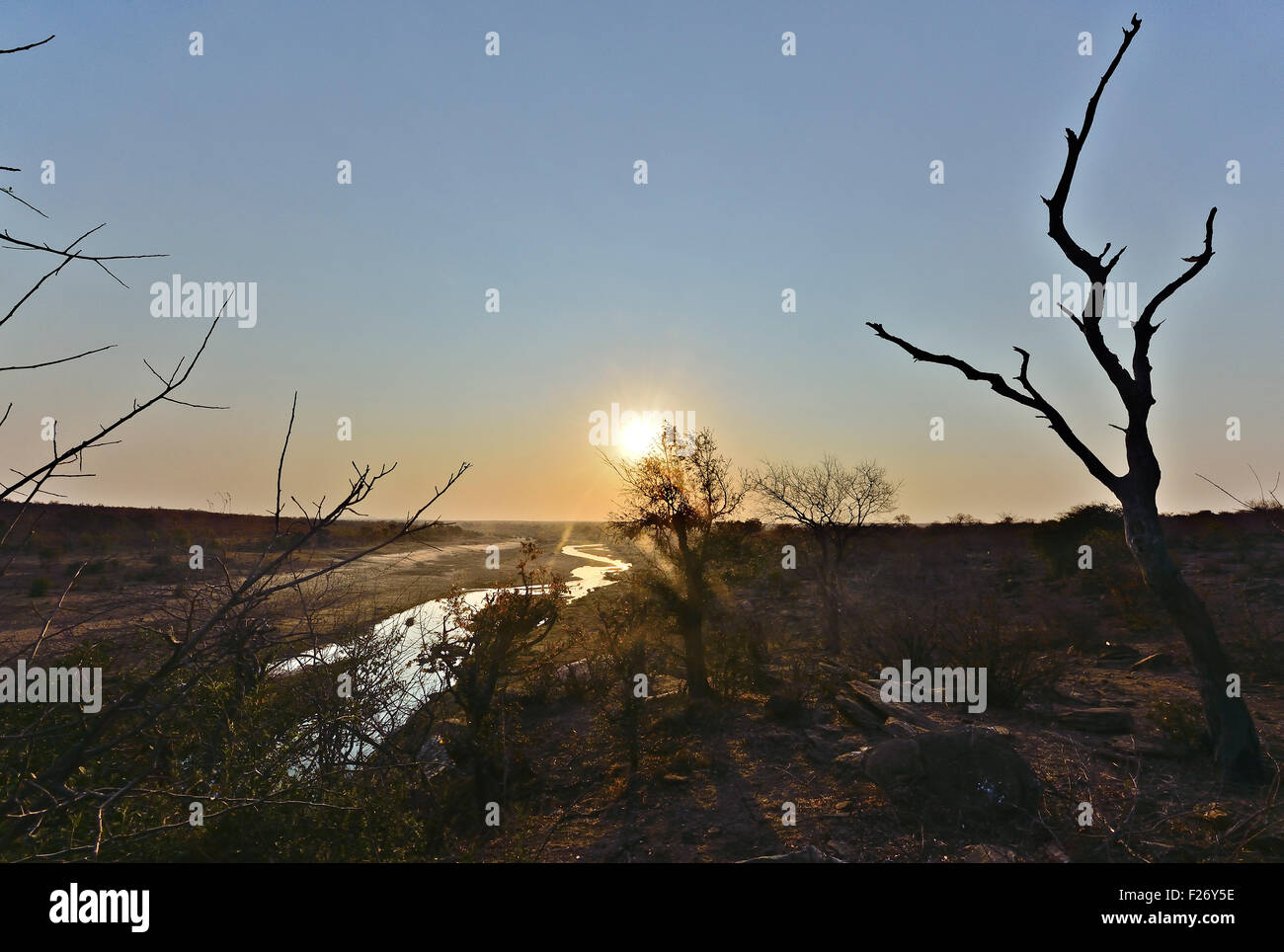 South Africa, Kruger environment, Letaba river Stock Photo - Alamy