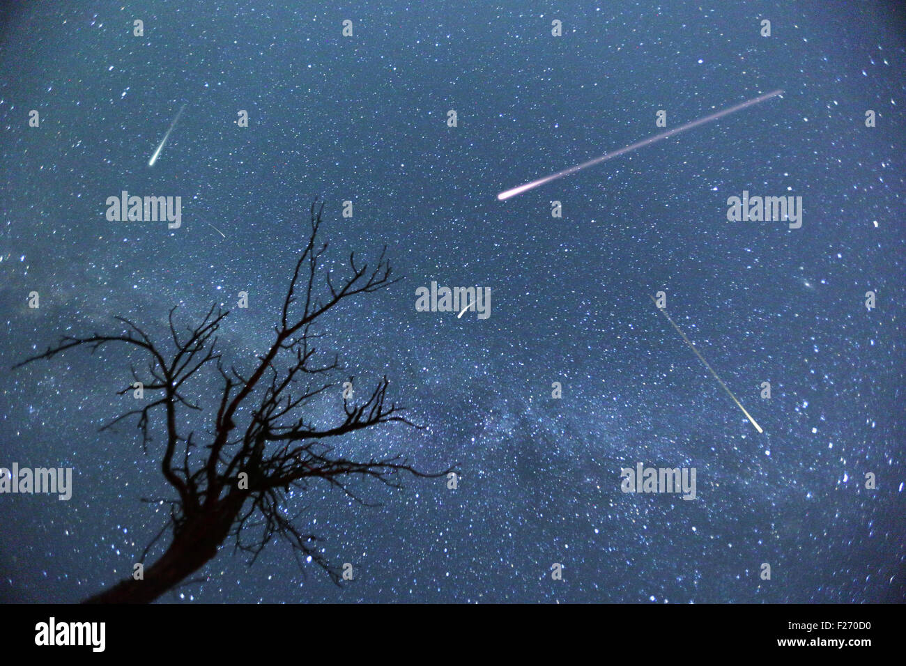 Perseids stars hi-res stock photography and images - Alamy