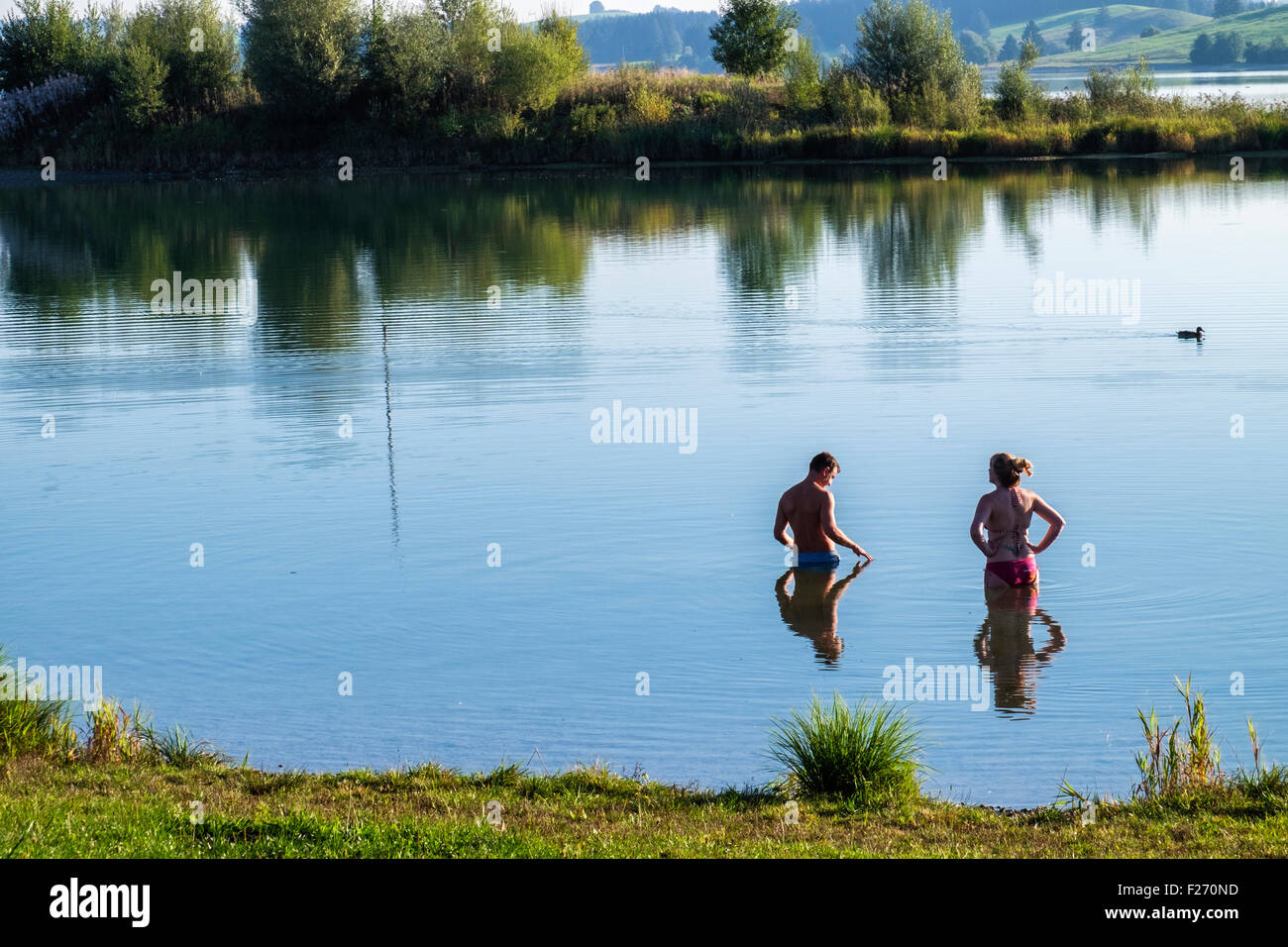 Forggensee swim hi-res stock photography and images - Alamy