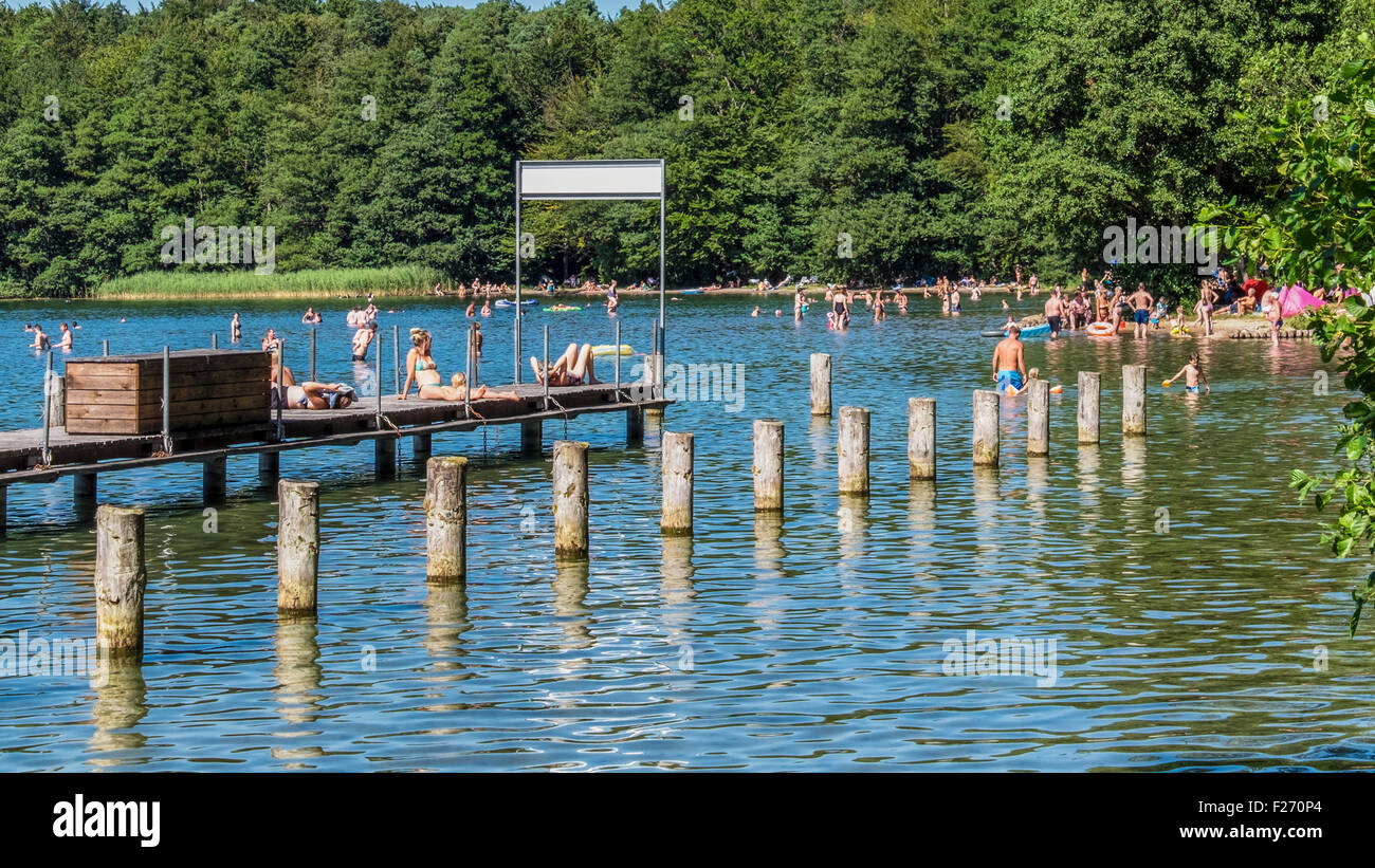 Blue lake, trees, swimmers, sunbathers and open water swimming at ...
