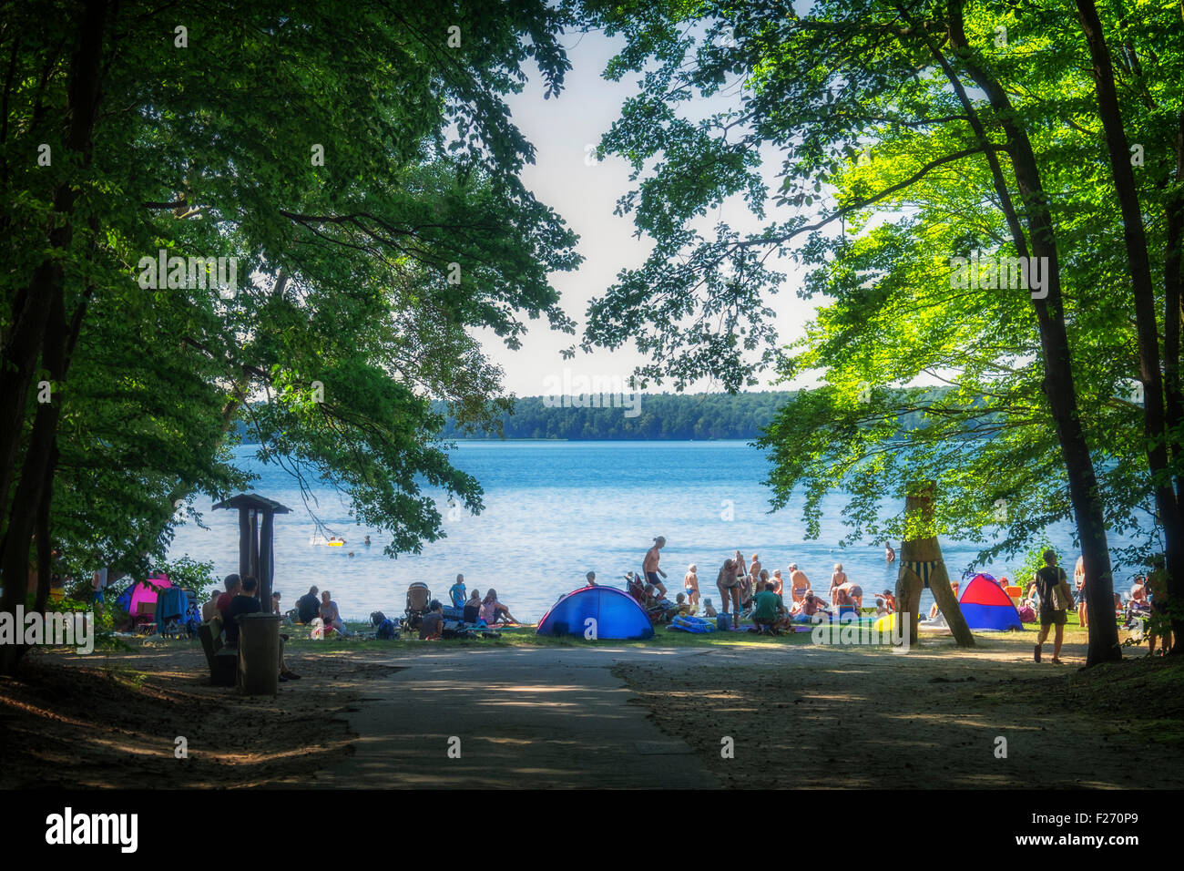 Blue lake, trees, swimmers, sunbathers and tents at Großer Stechlinsee ...