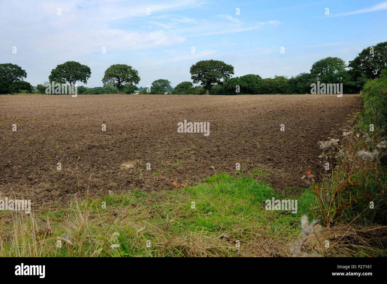 Fallow field planting hi-res stock photography and images - Alamy