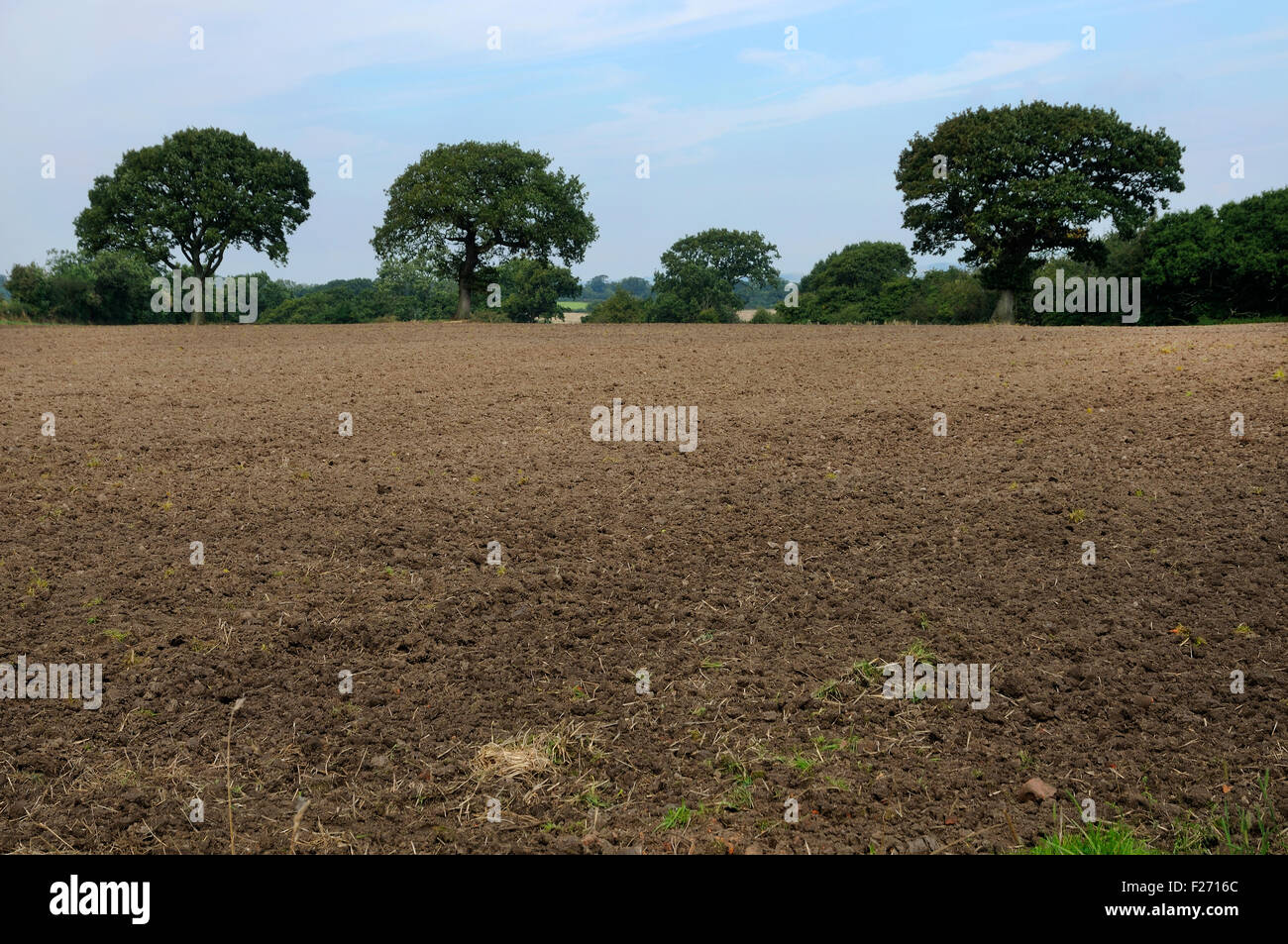 Fallow field planting hi-res stock photography and images - Alamy