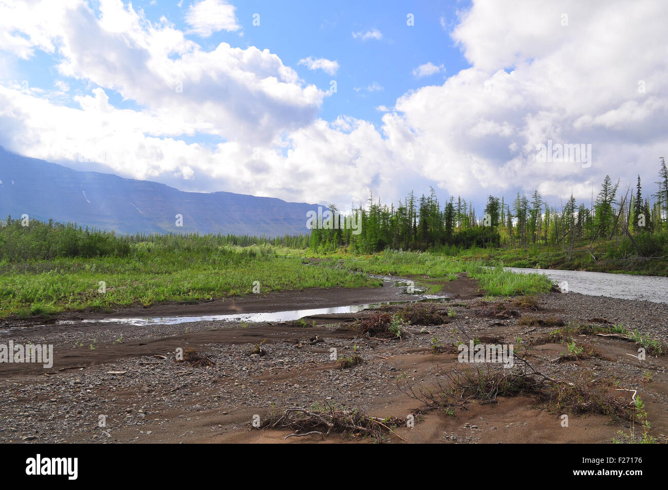 River in mountain taiga. Water landscape, Putorana plateau, Siberia ...