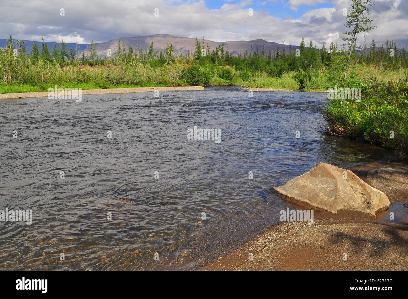 Taiga russia siberia river hi-res stock photography and images - Alamy
