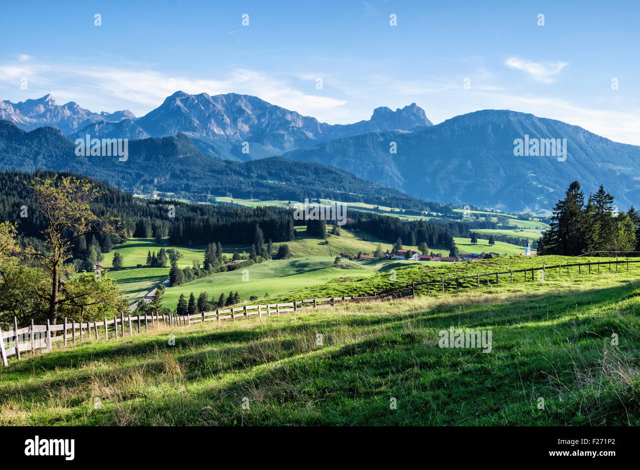 Bavarian Alps, Farm Houses, rolling green meadows and trees in valley ...