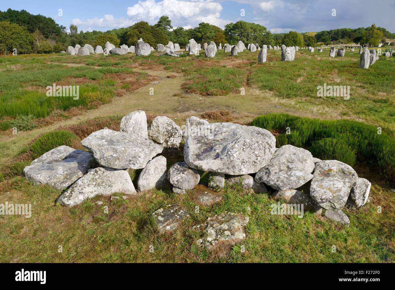 Megalithic carnac alignment prehistoric hi-res stock photography and ...