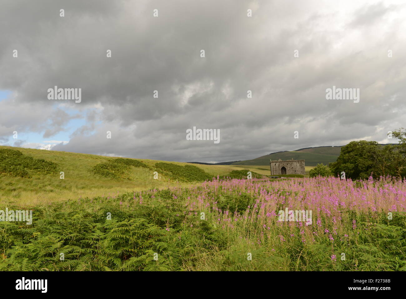 HERMITAGE CASTLE, NEAR NEWCASTLETON, LOOKING TOWARDS CHAPEL, THE ...
