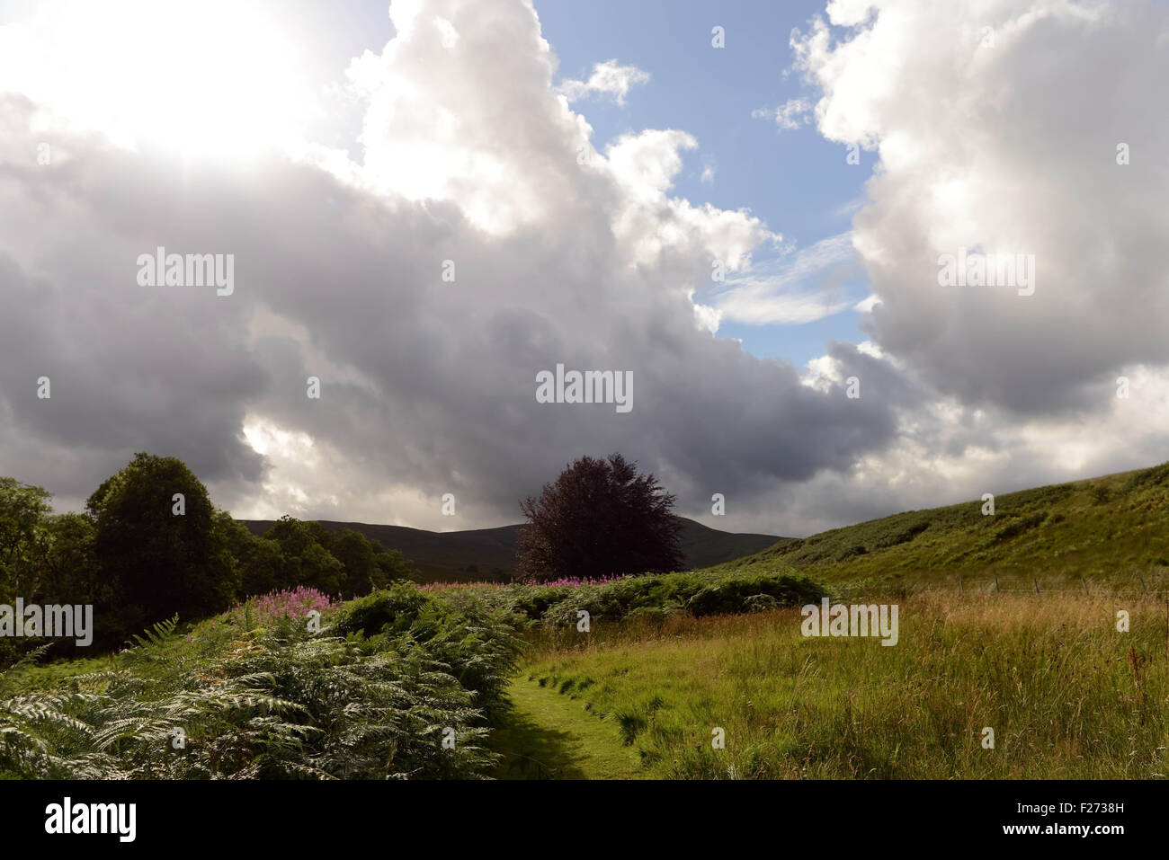 HERMITAGE CASTLE, NEAR NEWCASTLETON, LOOKING TOWARDS CHAPEL, THE ...