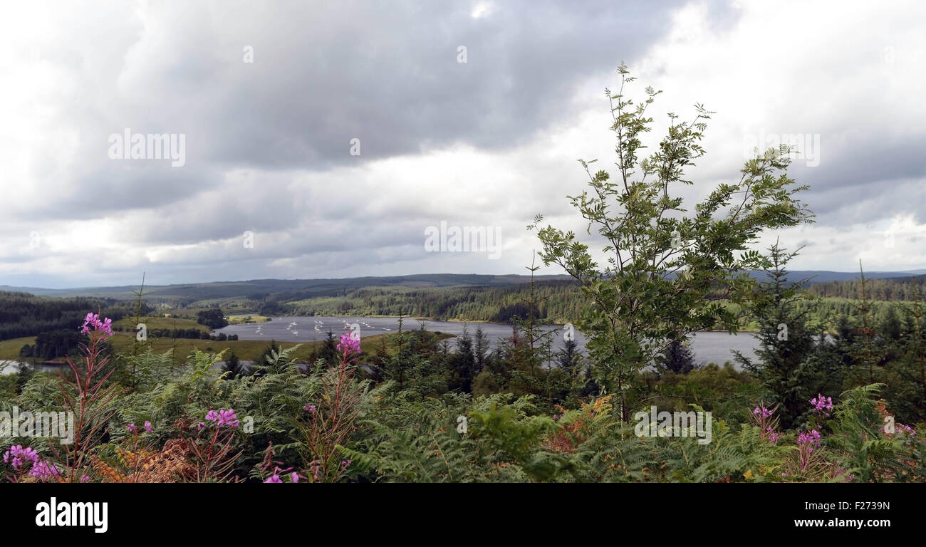 VIEW OVER KIELDER RESERVOIR, KIELDER, NORTHUMBERLAND, UK Stock Photo ...