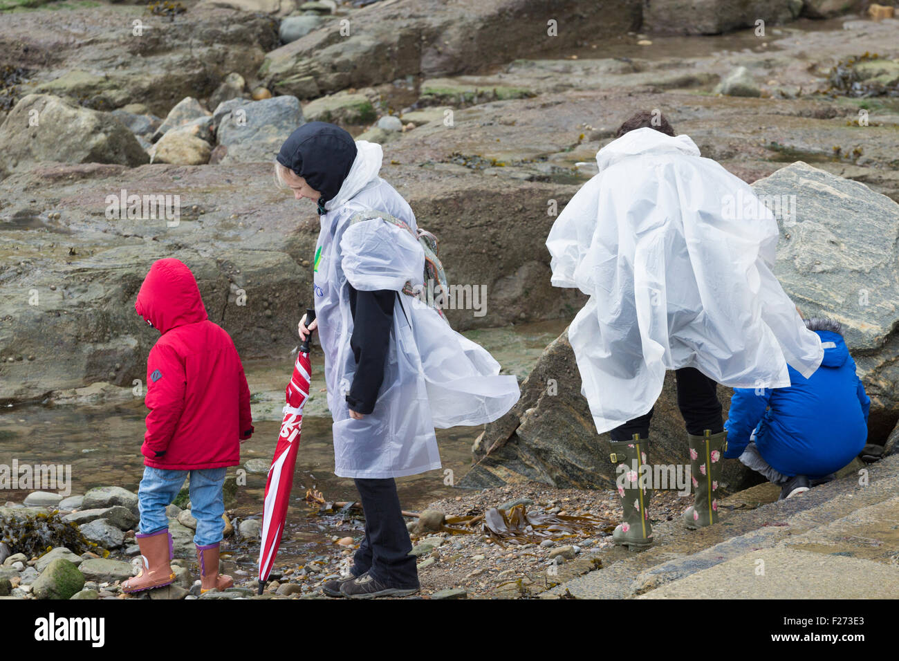 Wet weather at Staithes, North Yorkshire, England, United Kingdom Stock ...