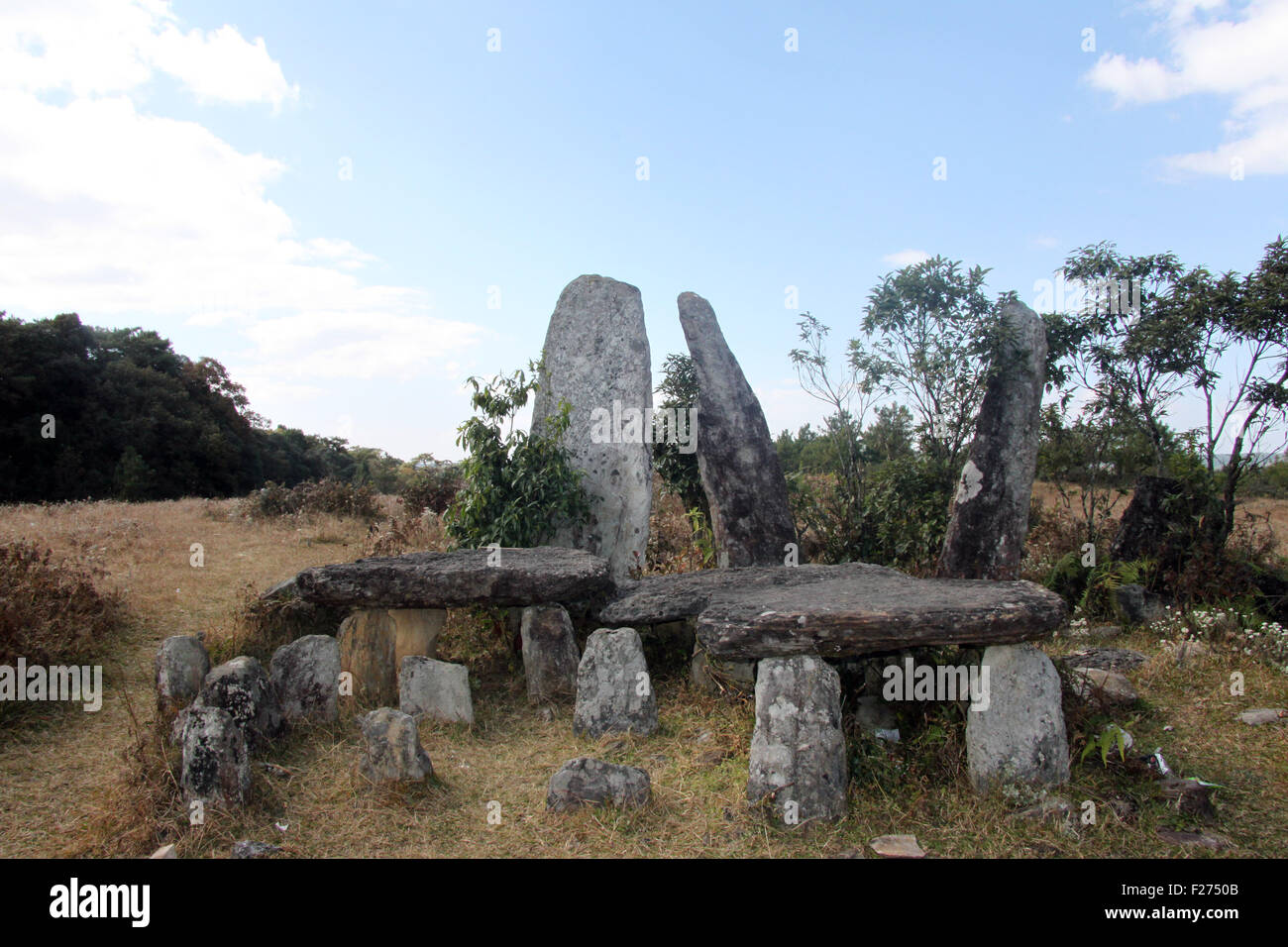 Mawphlang sacred forest hi-res stock photography and images - Alamy