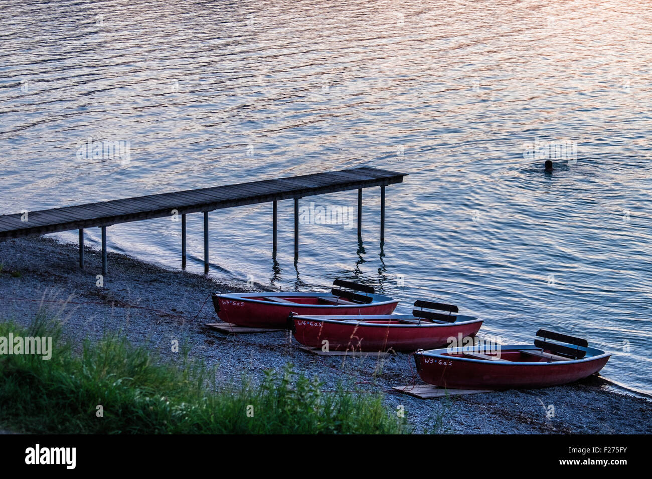 Forggensee swim hi-res stock photography and images - Alamy