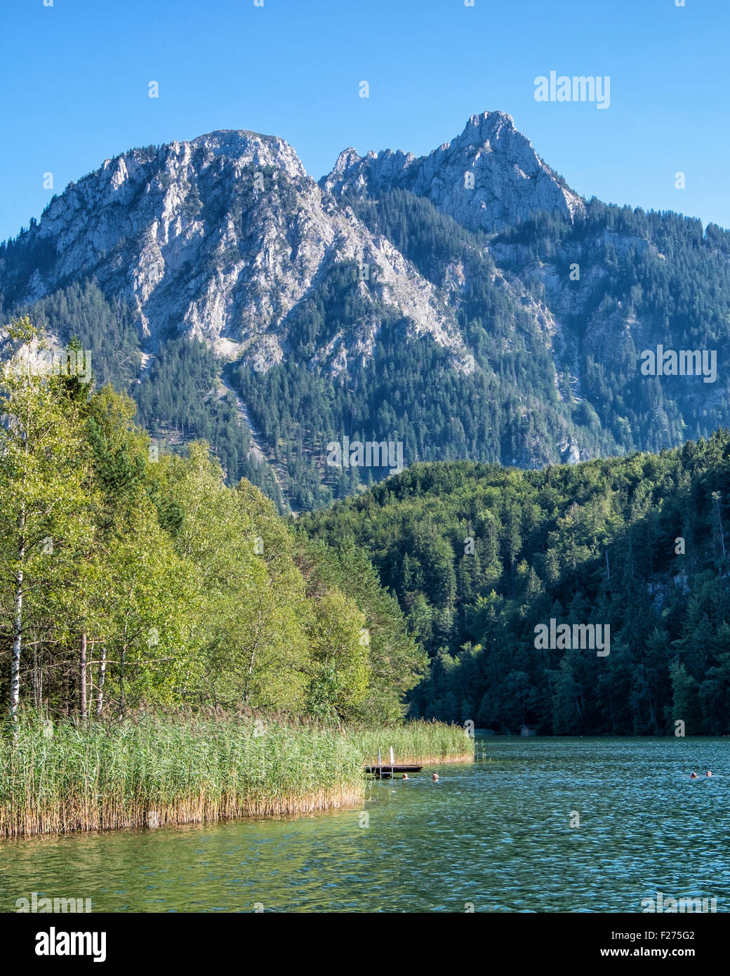 Schwansee Swan Lake Bavarian Alps Bavaria Germany Open Water