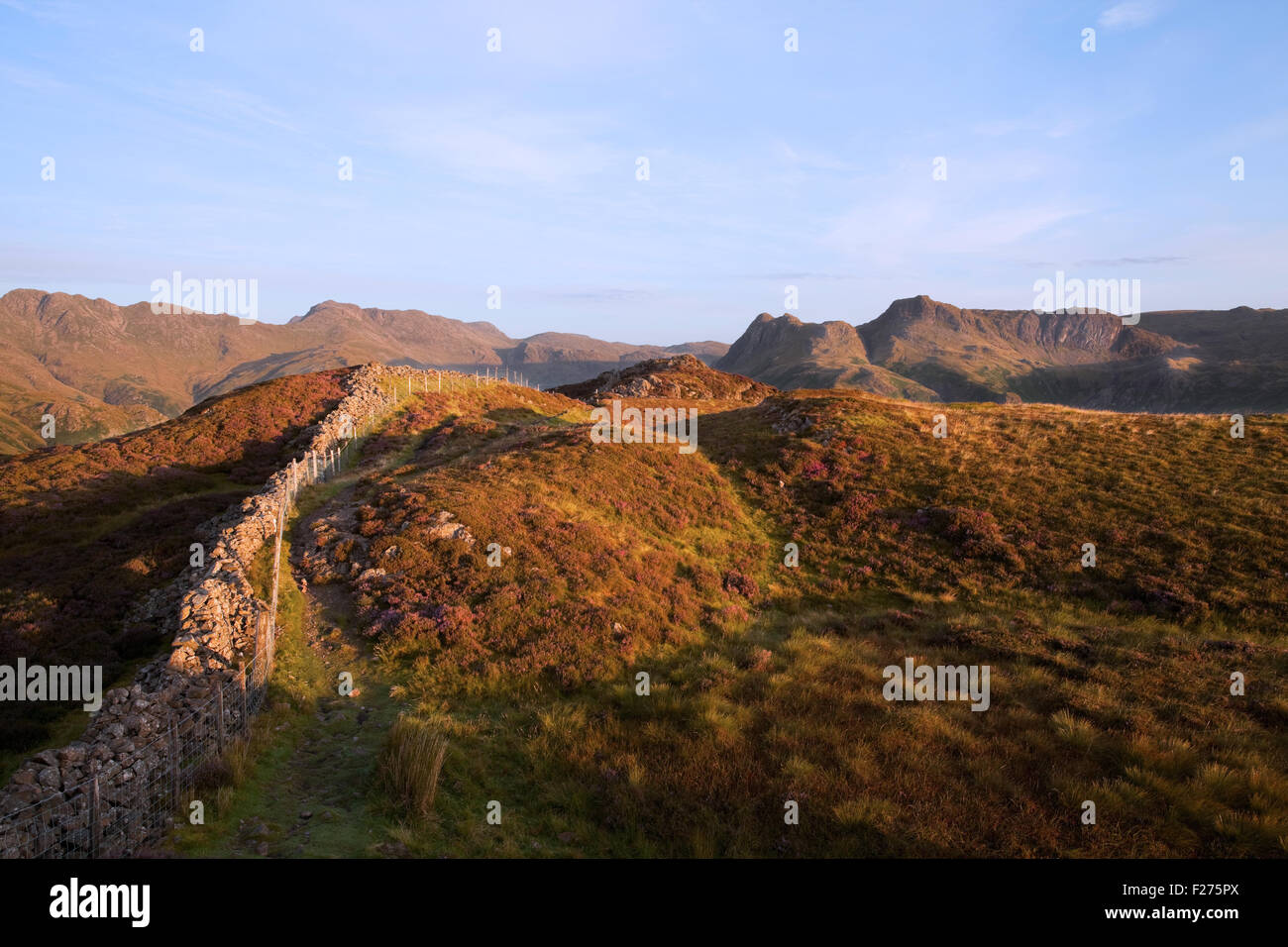 Lingmoor fell hi-res stock photography and images - Alamy