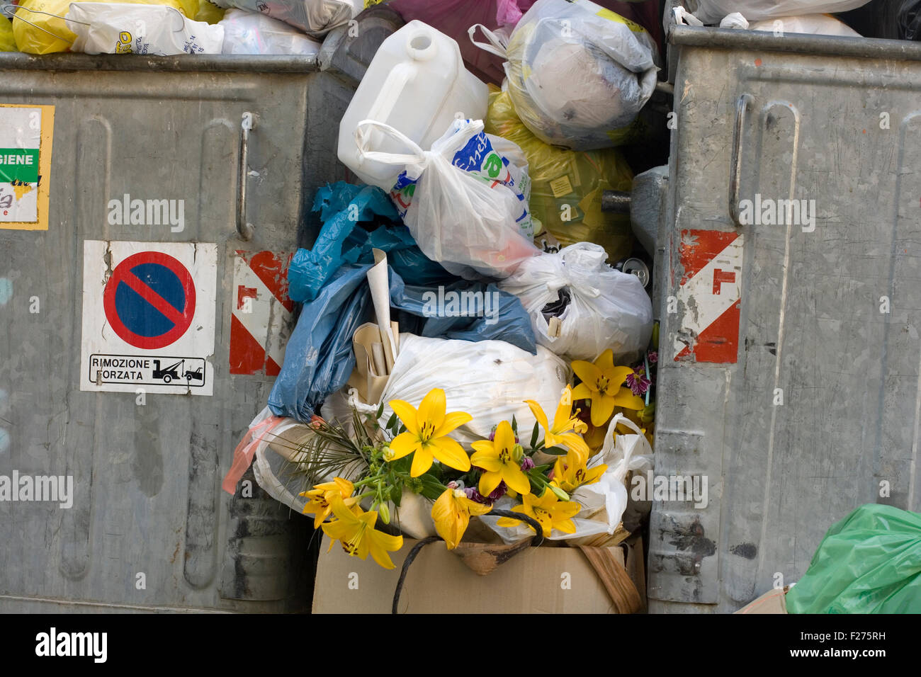 Photo of flowers on the Garbage Stock Photo - Alamy