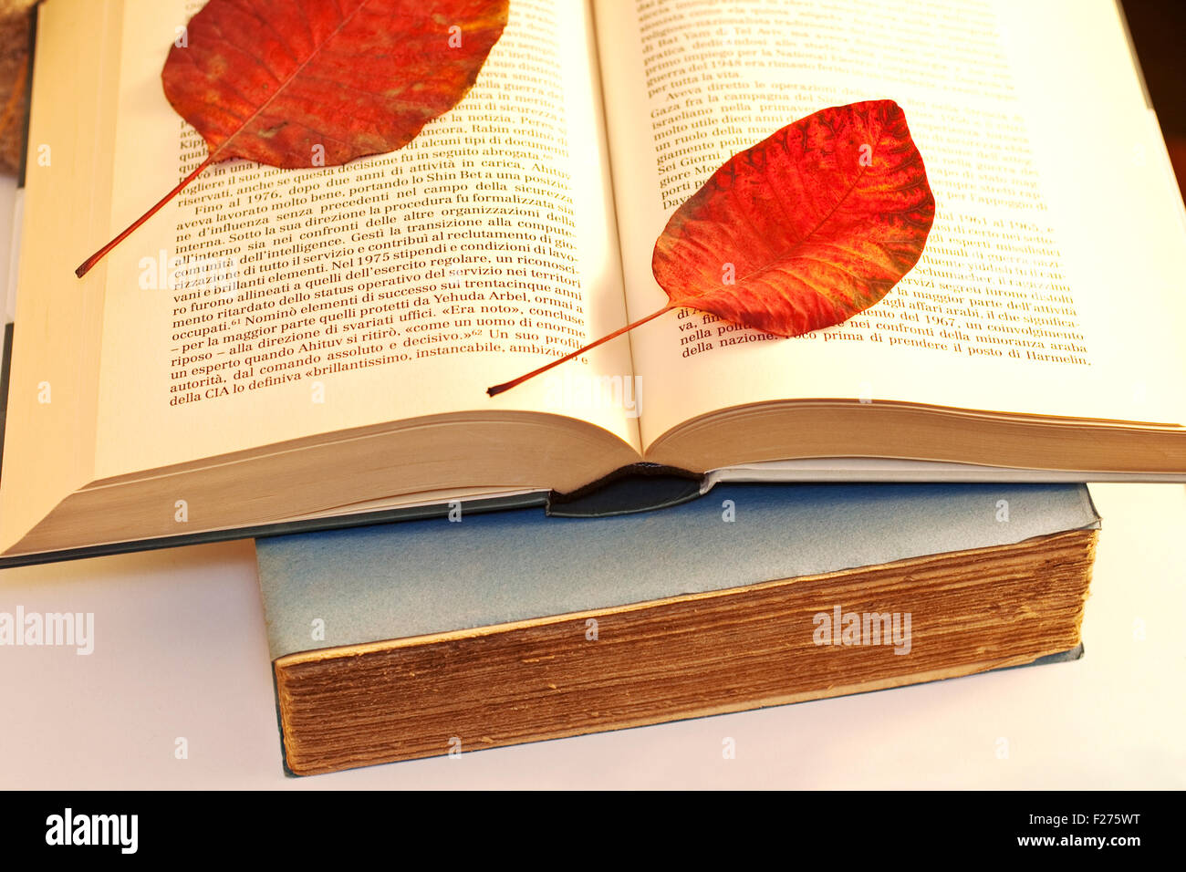 Photo of Dry leaf on a open book Stock Photo - Alamy