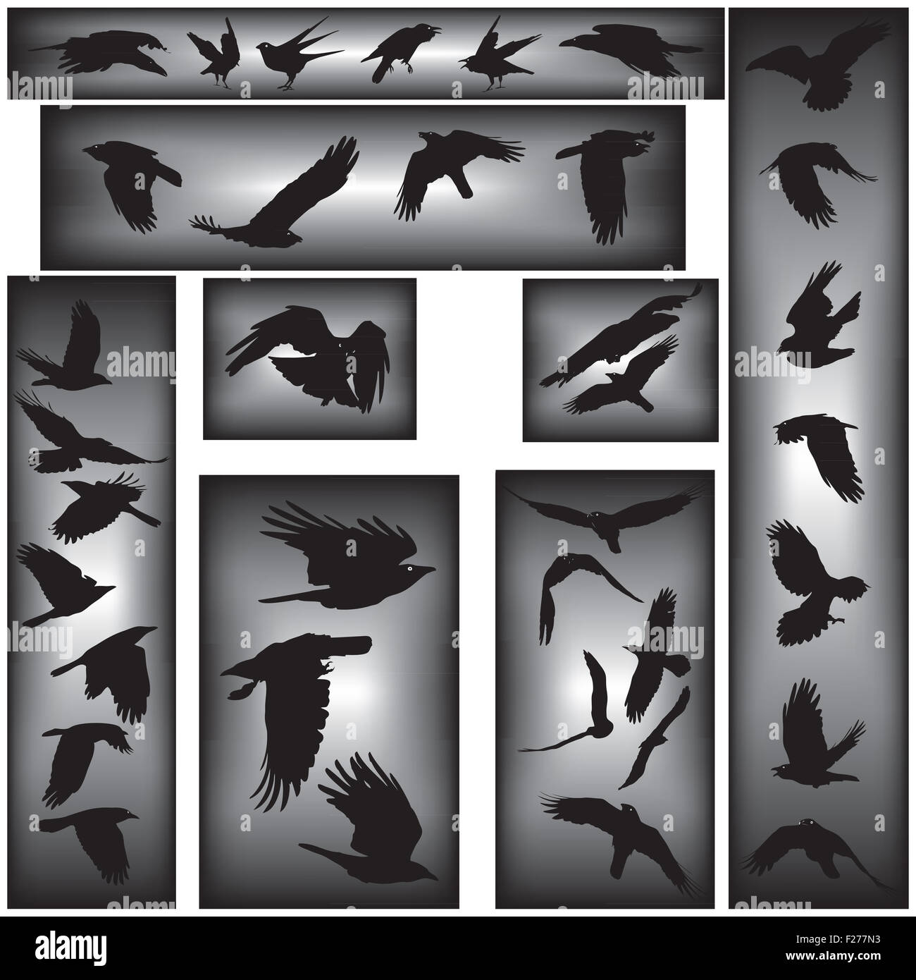 Raven banner hi-res stock photography and images - Alamy