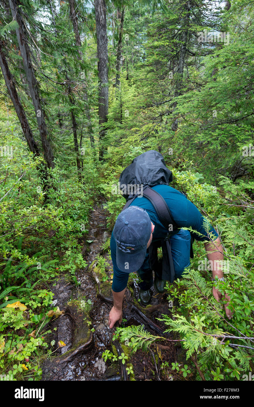 Hiking the steep muddy trail to Sadie Lake on Baranof Island, Alaska ...