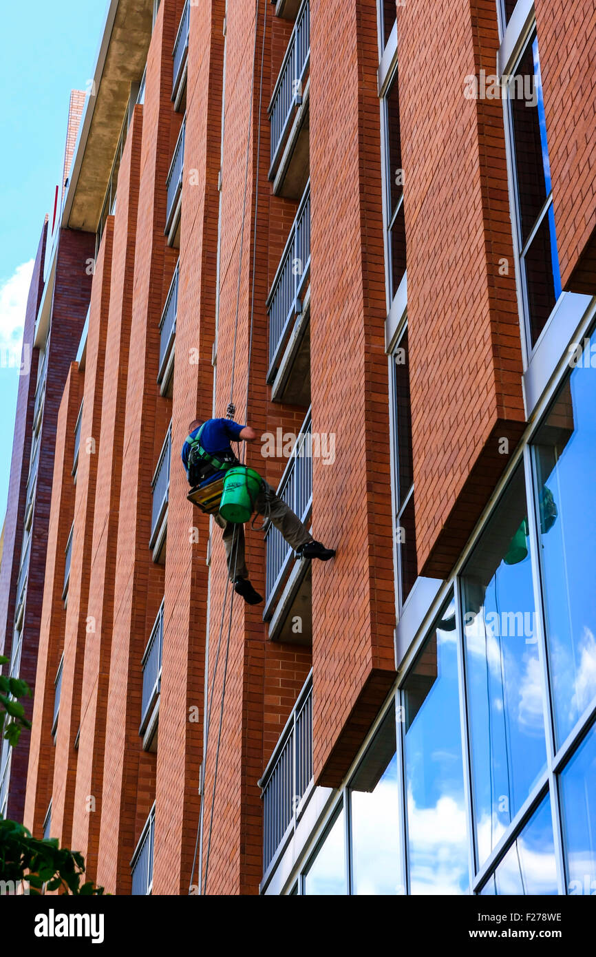 A tall building window cleaner using just a rope, a bucket and a sponge ...