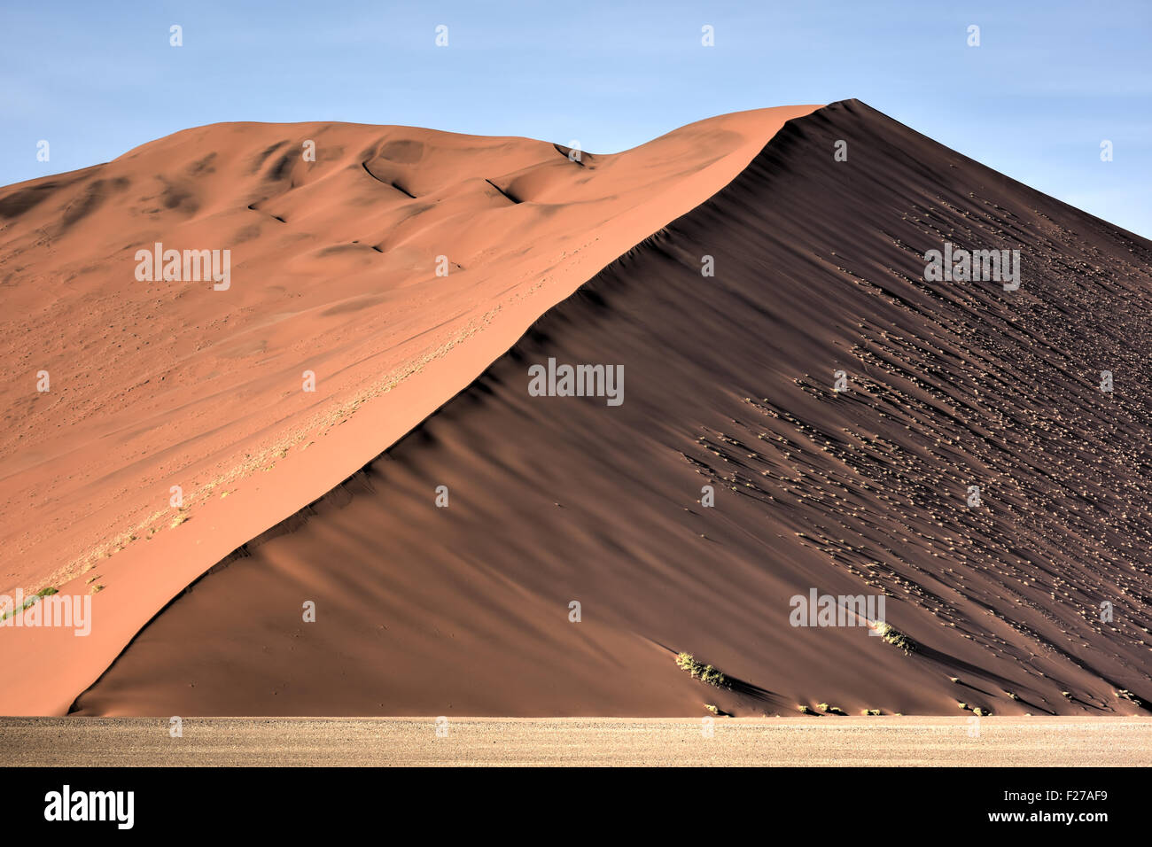 High red dunes, located in the Namib Desert, in the Namib-Naukluft ...